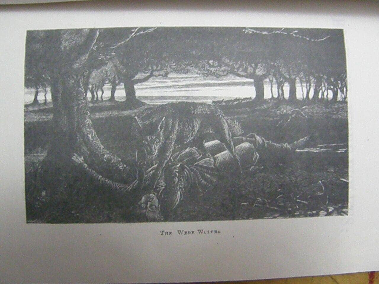 Book of Werewolves Gould Occult Books Myth Legend Witchcraft ...