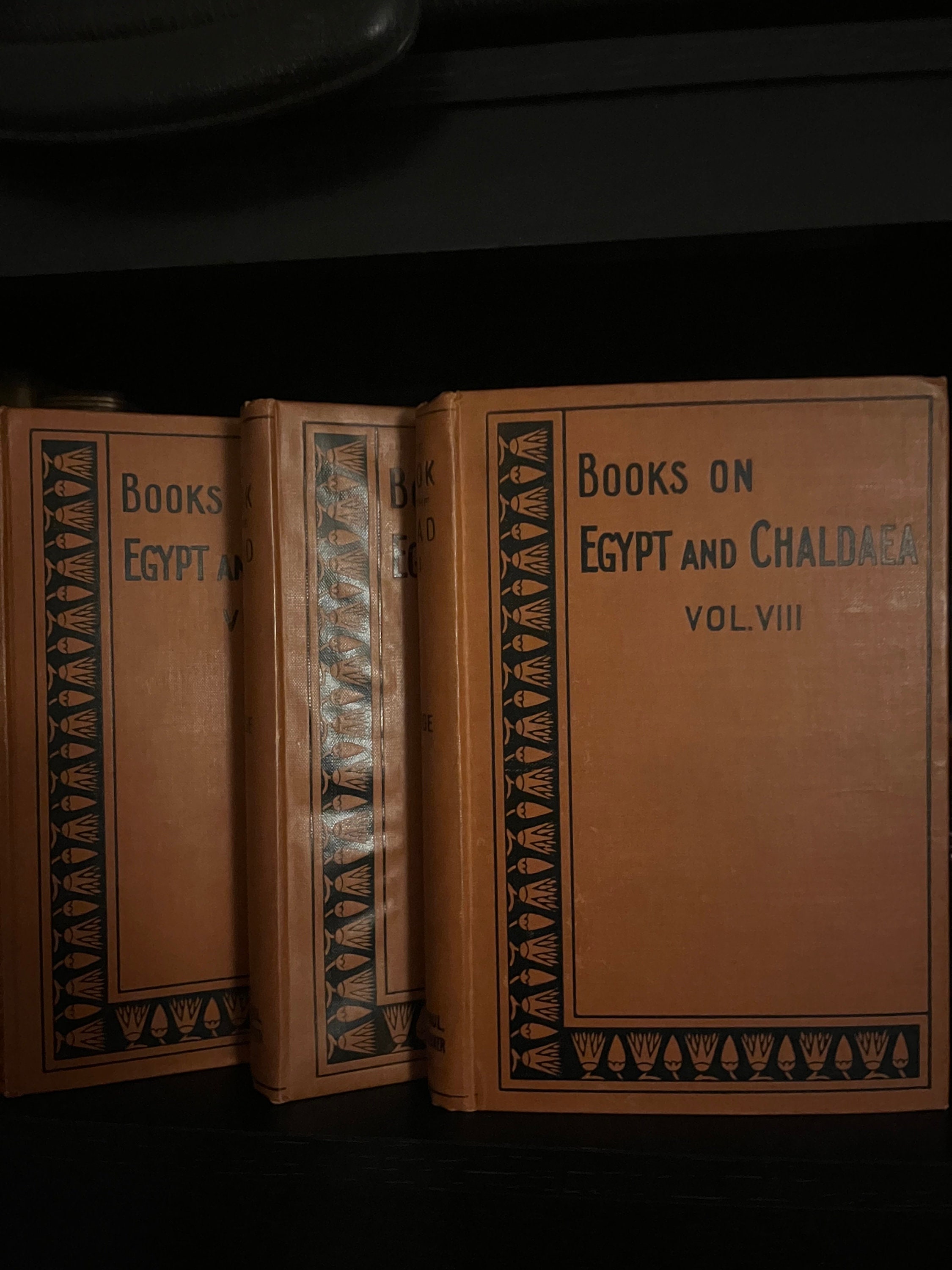 Books of the Dead Vol. 1-3 **rare Find** - Rare Occult, Paganism ...
