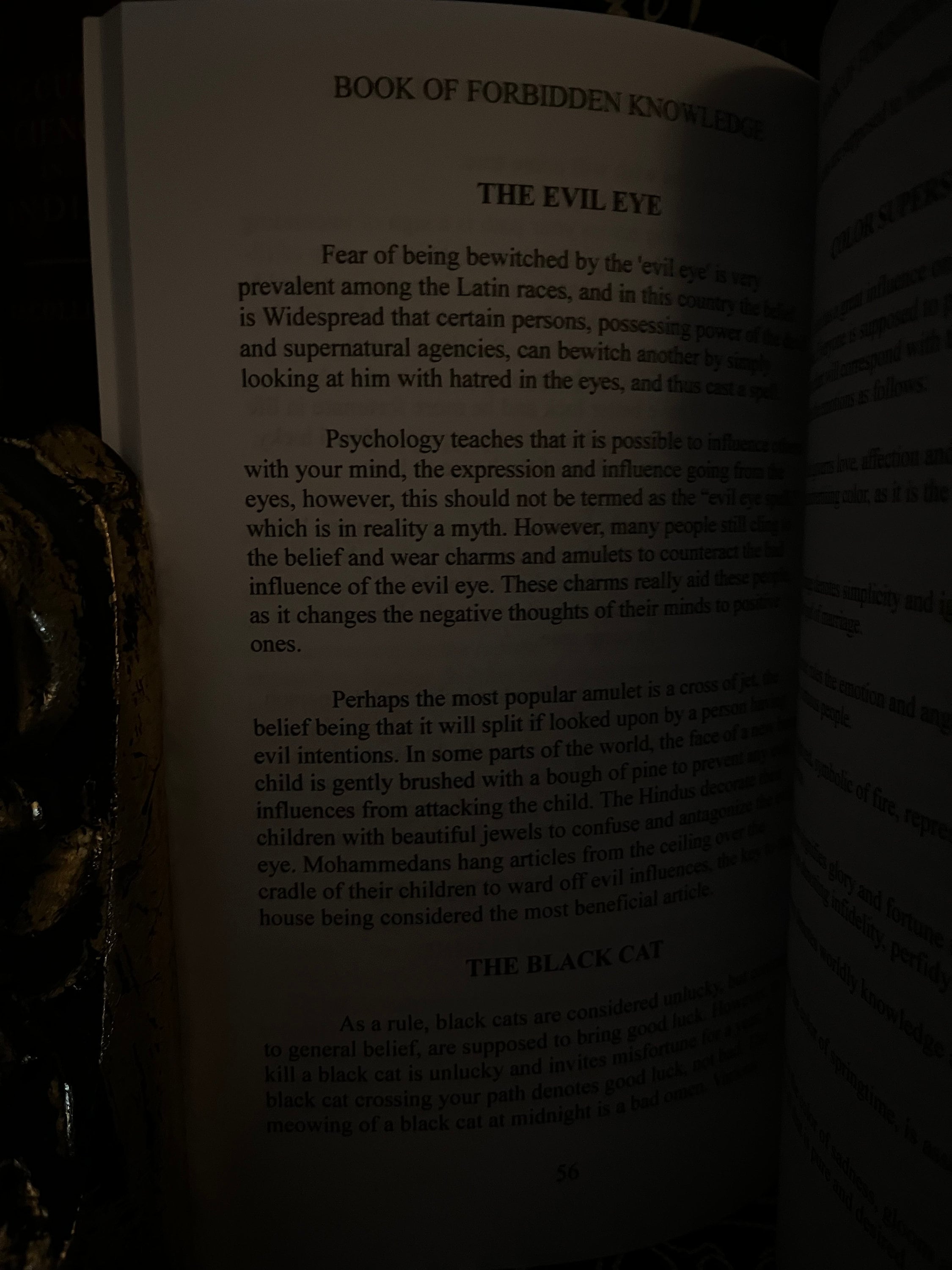 The Book of Forbidden Knowledge Occult Book Goetia Black - Etsy