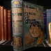 Royal Treasury or Jewels of the Bible (1889) Folio Sized Children's ...