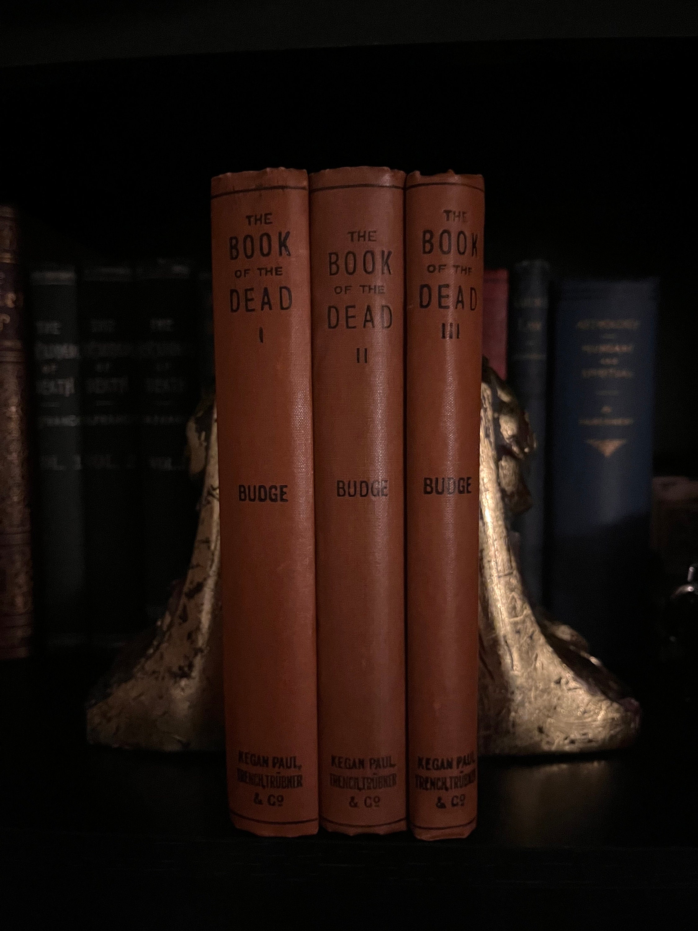 Books of the Dead Vol. 1-3 rare Find Rare Occult, Paganism, Necromancy ...