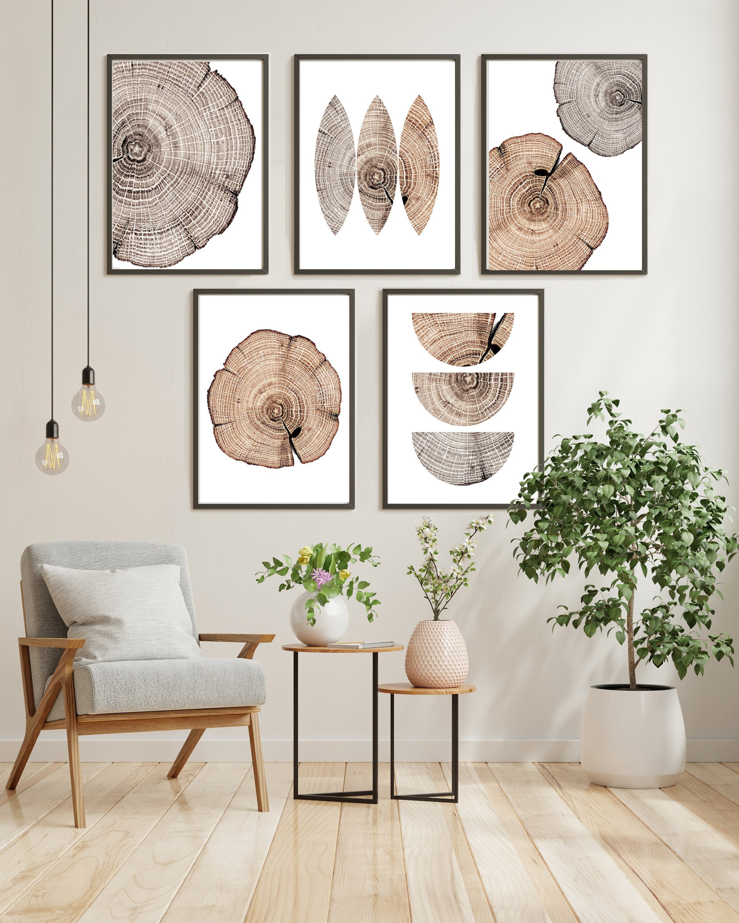 Tree Stump Prints Gallery Wall Art Variety Set of 5, Boho Wall Art ...