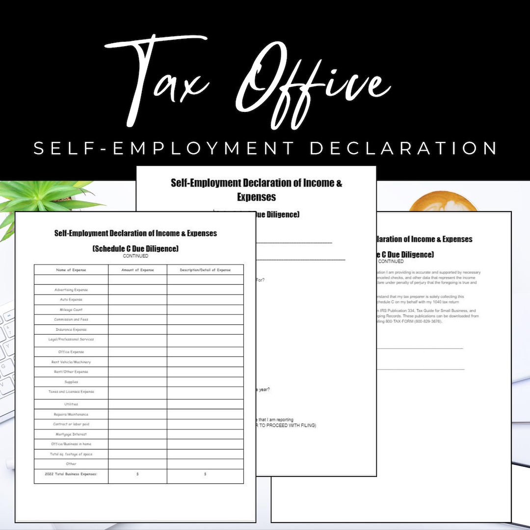 Self-employment Income & Expenses Form (digital Download) - Etsy