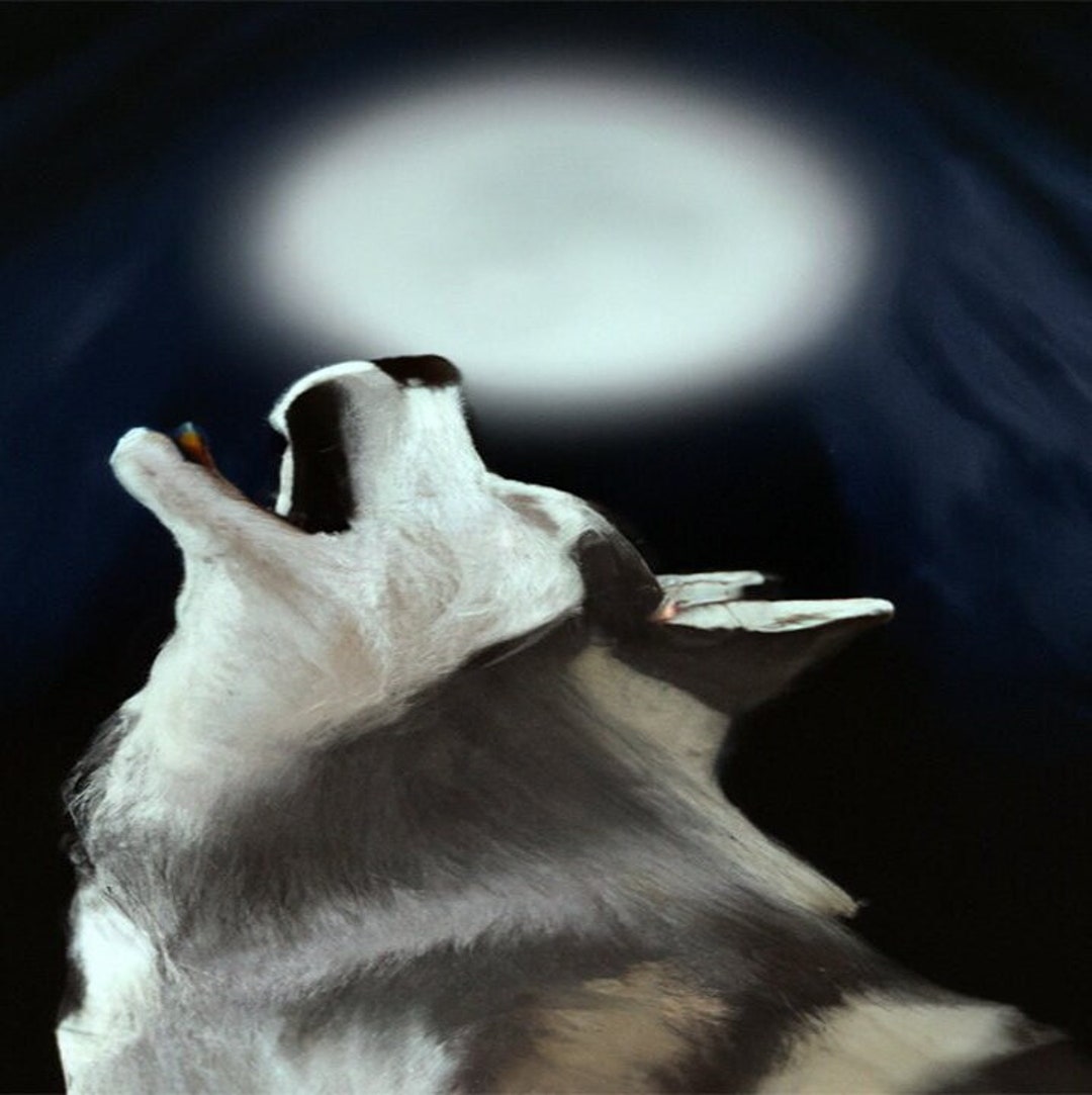 Husky Howling at the Full Moon - Etsy