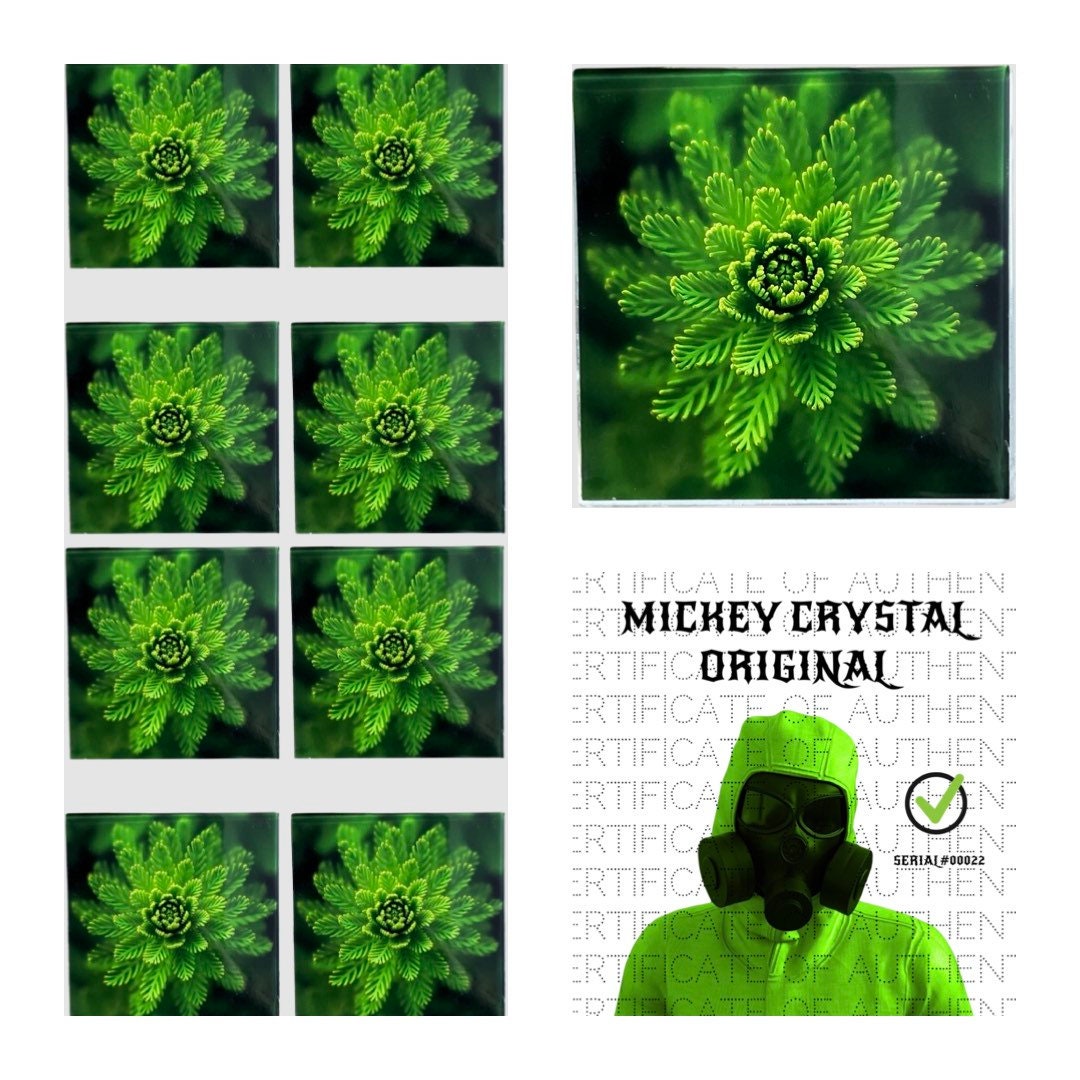 Backsplash Mosaic Custom Wall Art Ceramic Tiles / 6”x 6” Tiles / 4x ...