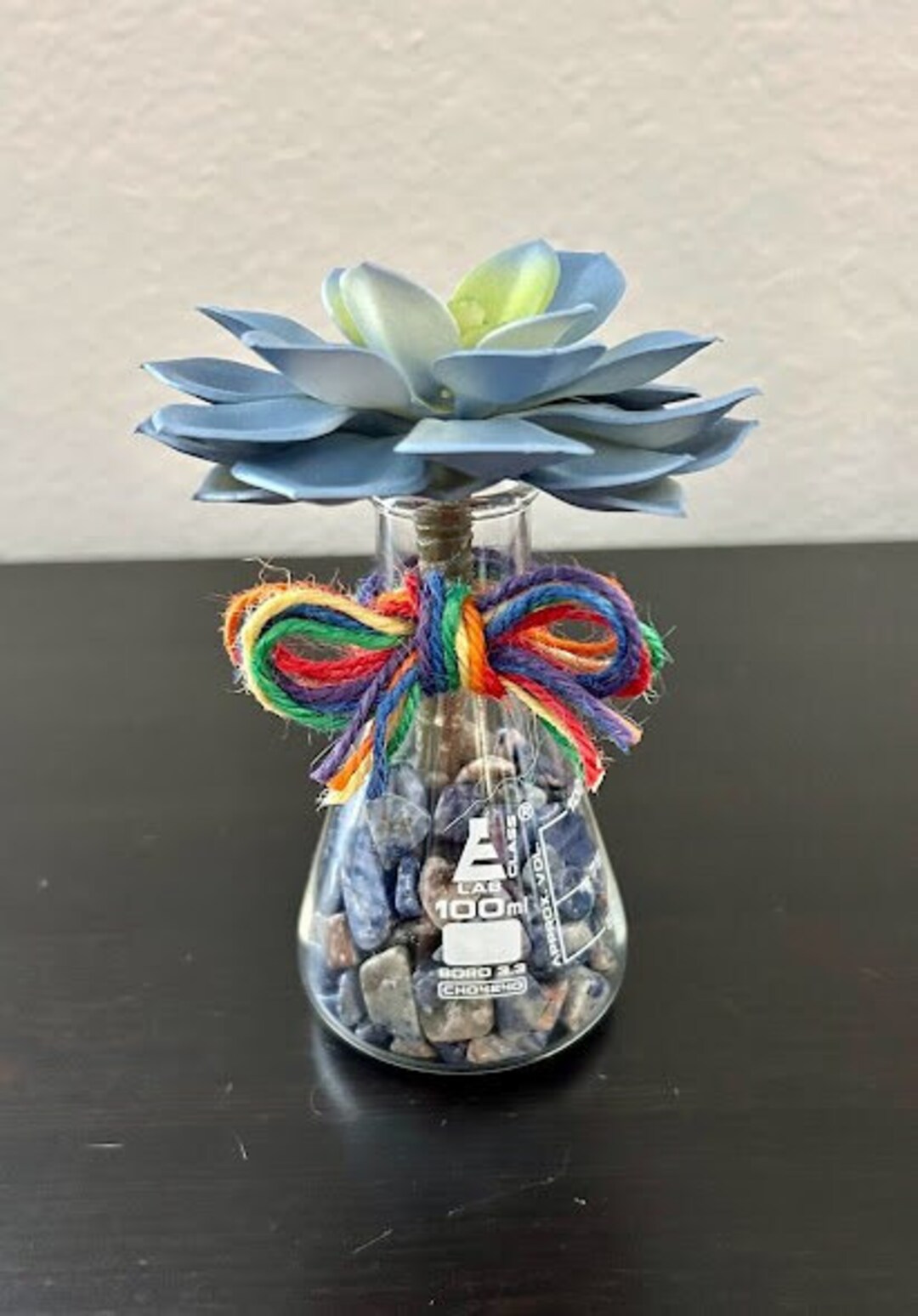 Pride LGBT Flag Inspired Alchemy Vase With Plastic Succulent - Etsy