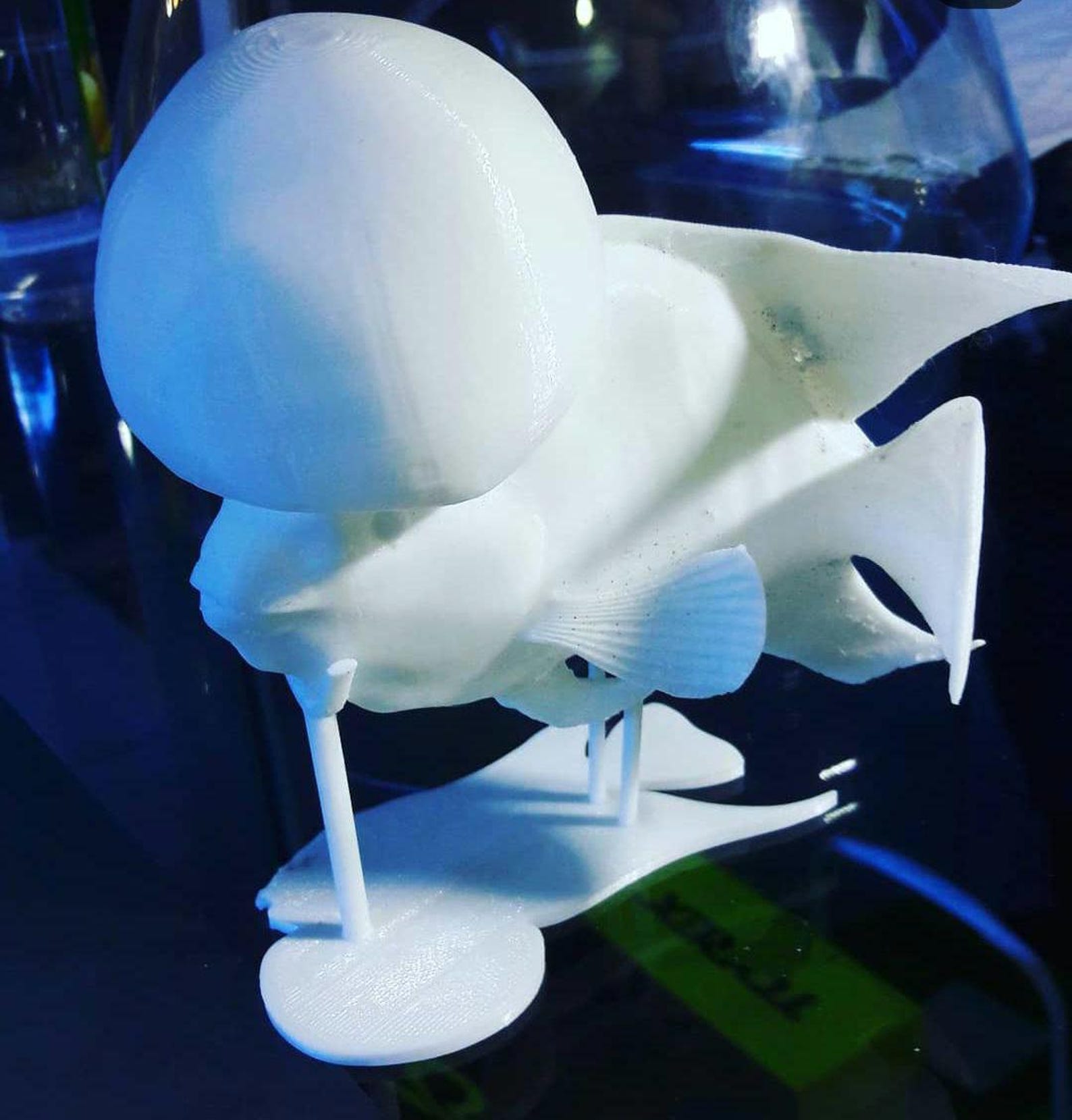 Flowerhorn Stl File - Etsy