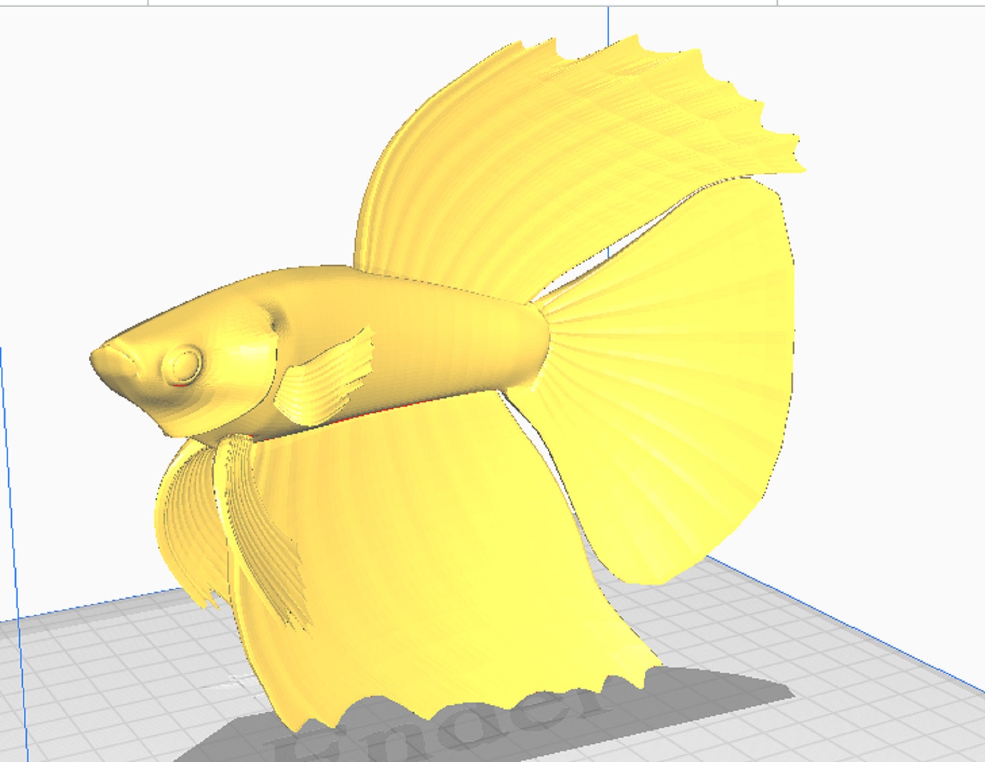 Siamese Fighting Fish Stl File - Etsy