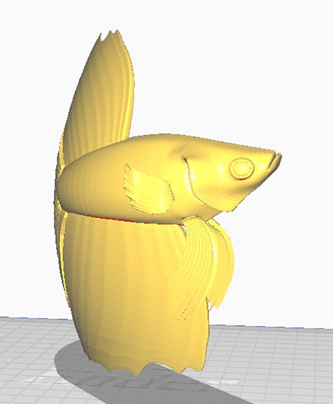 Siamese Fighting Fish Stl File - Etsy