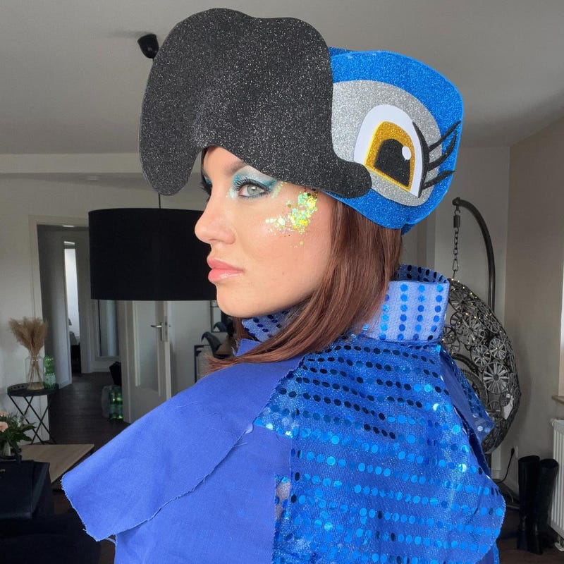 Rio Birds Costume - Etsy Australia