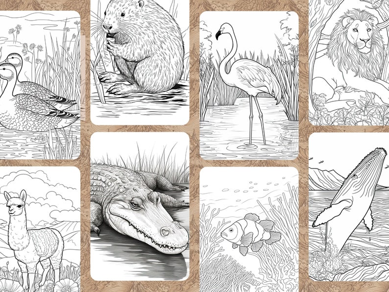 50 Page Bundle of Relaxing Animal Coloring Book Animal Coloring Sheet ...