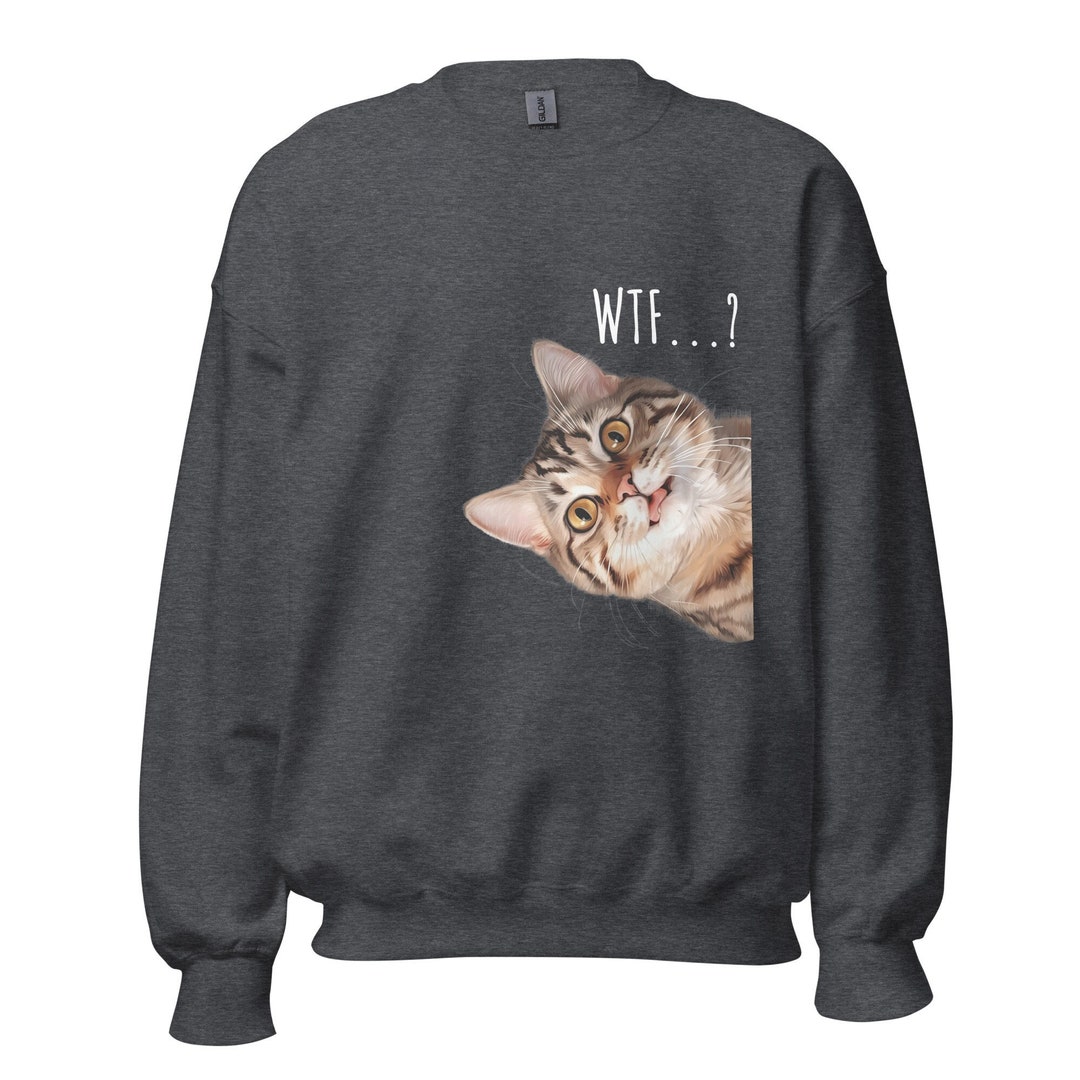 Tabby Cat Sweatshirt Funny Cursing Cat Shirt WTF Shirt - Etsy