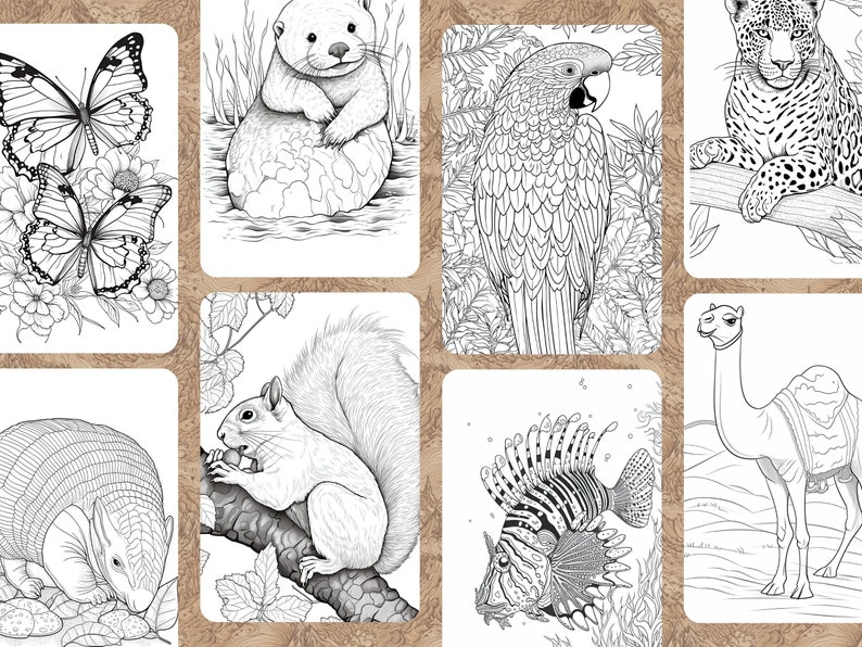 50 Page Bundle of Relaxing Animal Coloring Book Animal Coloring Sheet ...