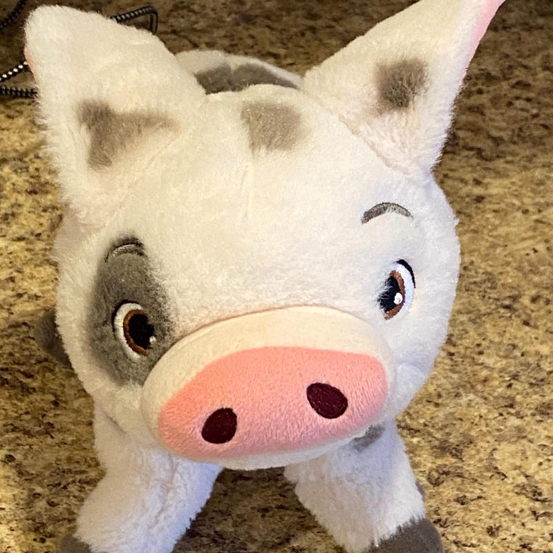Moana Pig Png - Etsy