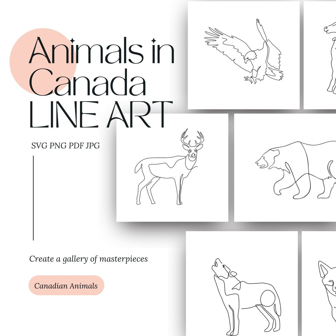 Wild Life Line Art Digital Clipart Images Canadian Animals Instant ...