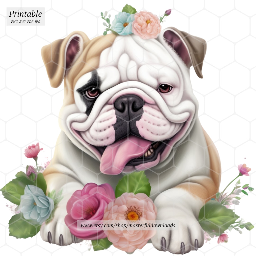 English Bulldog Clip Art Printable Cartoon Image Instant Digital ...