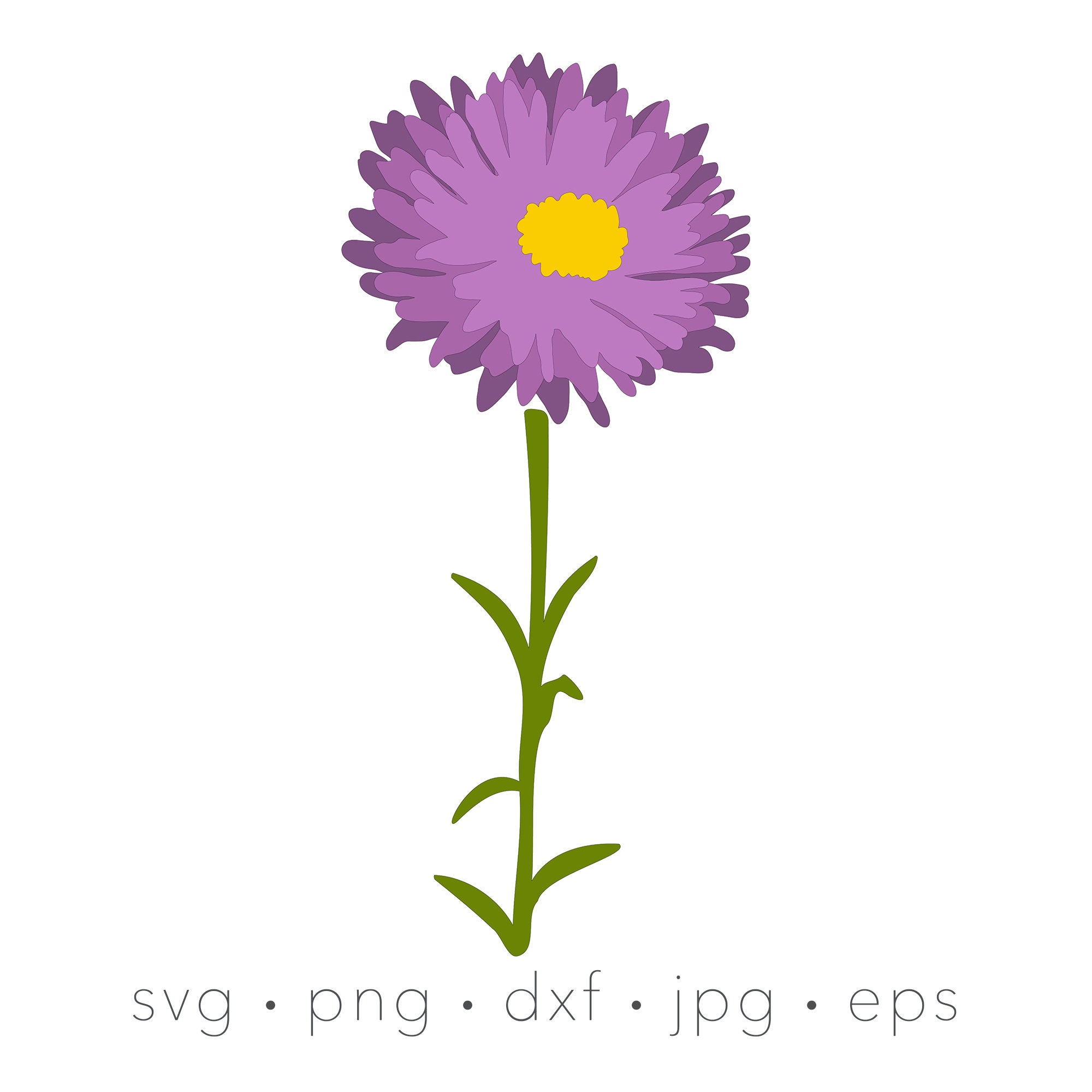 Aster Flower Svg, Aster Svg, September Birth Flower Svg, Birth Month ...