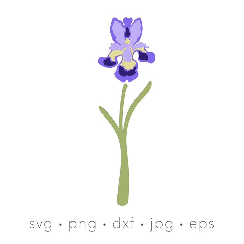 February Birth Flower Svg Iris Birth Month Flower Svg - Etsy
