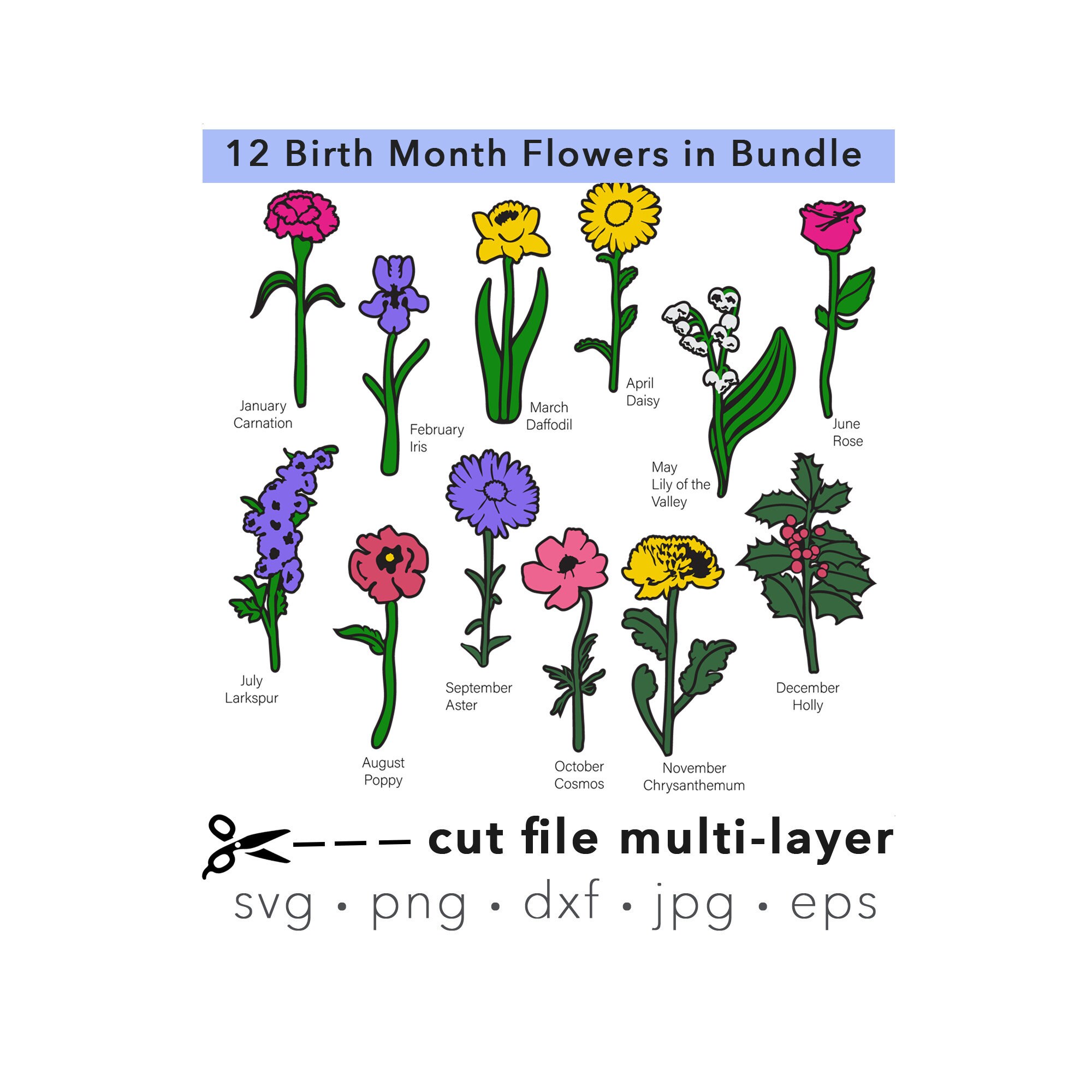 Birth Flowers Layered Svg Bundle Digital Cut File for - Etsy