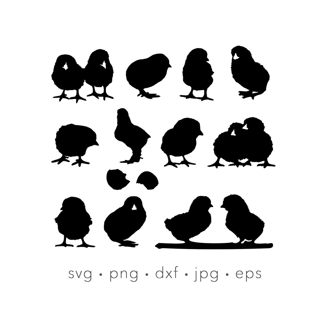 Chicken Svg, Easter Svg, Spring Svg, Farm Svg, Chicks Svg, Cut File for ...