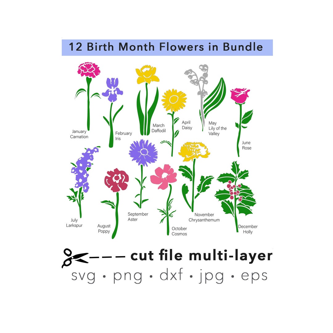 Birth Flowers Svg Bundle Digital Cut File for Silhouette or - Etsy