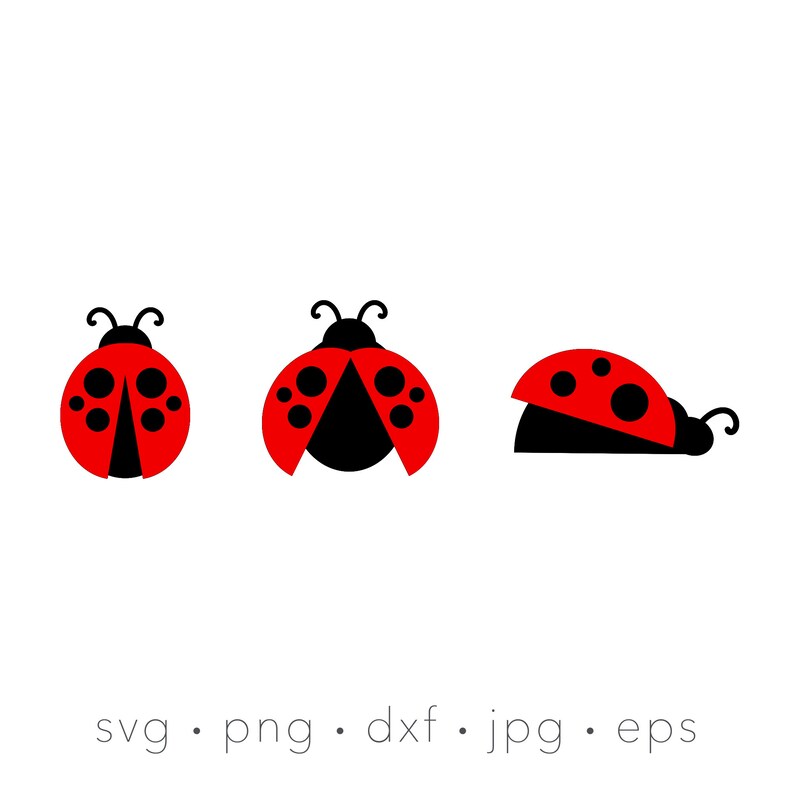 Ladybug Svg, Ladybugs Svg Bundle, Ladybug Sublimation, Bug Laser Cut ...