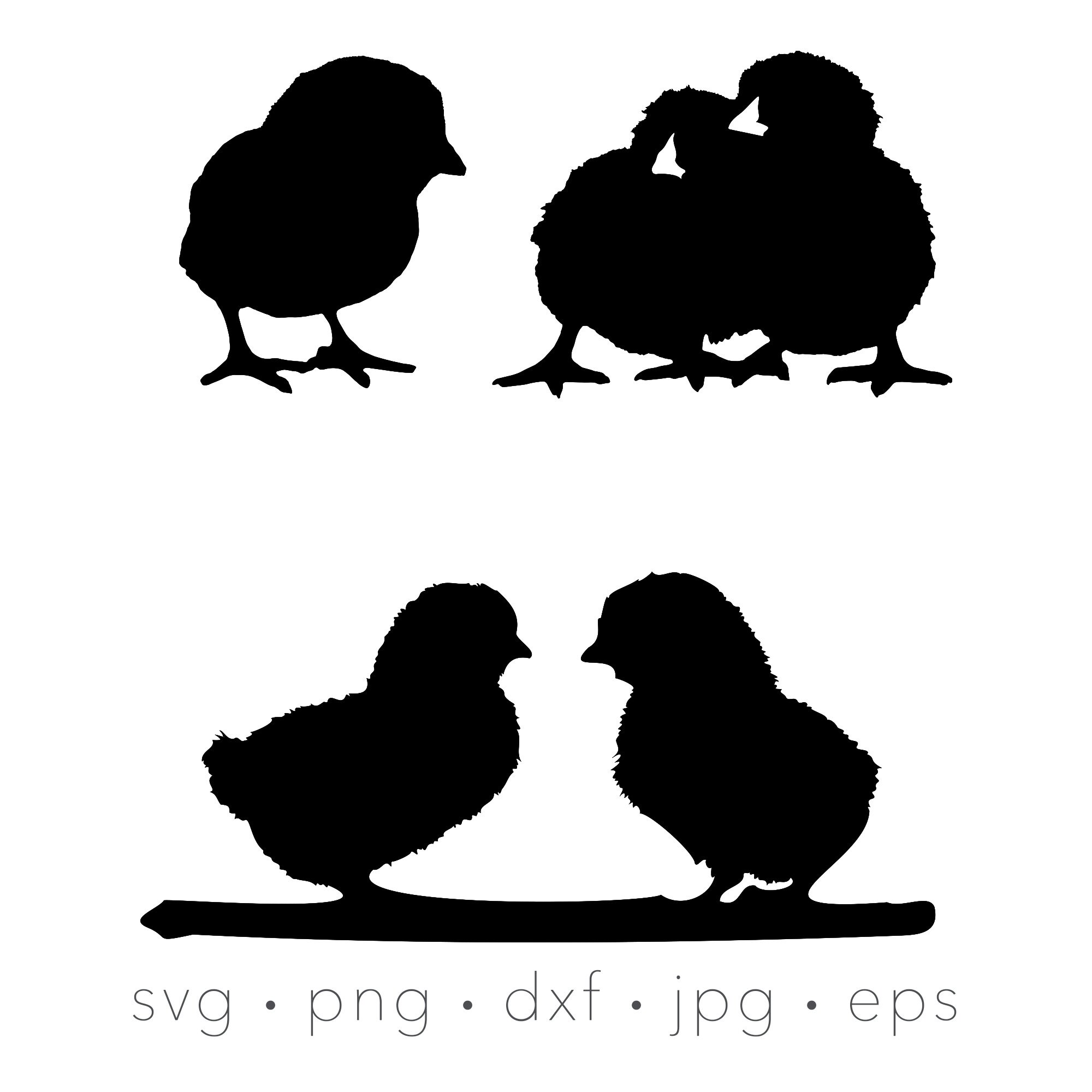Chicken Svg, Easter Svg, Spring Svg, Farm Svg, Chicks Svg, Cut File for ...