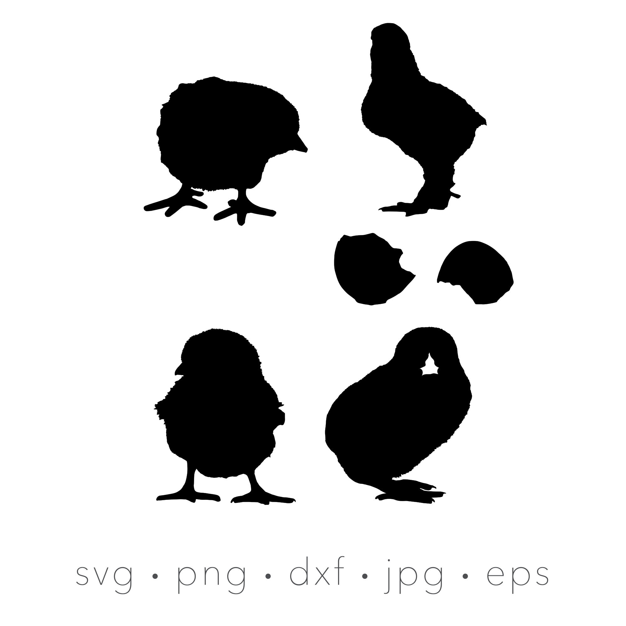 Chicken Svg, Easter Svg, Spring Svg, Farm Svg, Chicks Svg, Cut File for ...