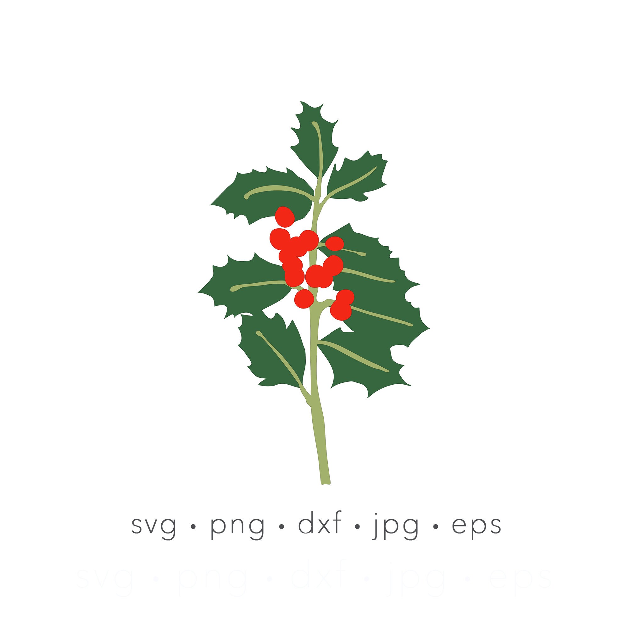 Holly Svg, December Birth Flower Svg, Layered Holly Svg, Christmas ...