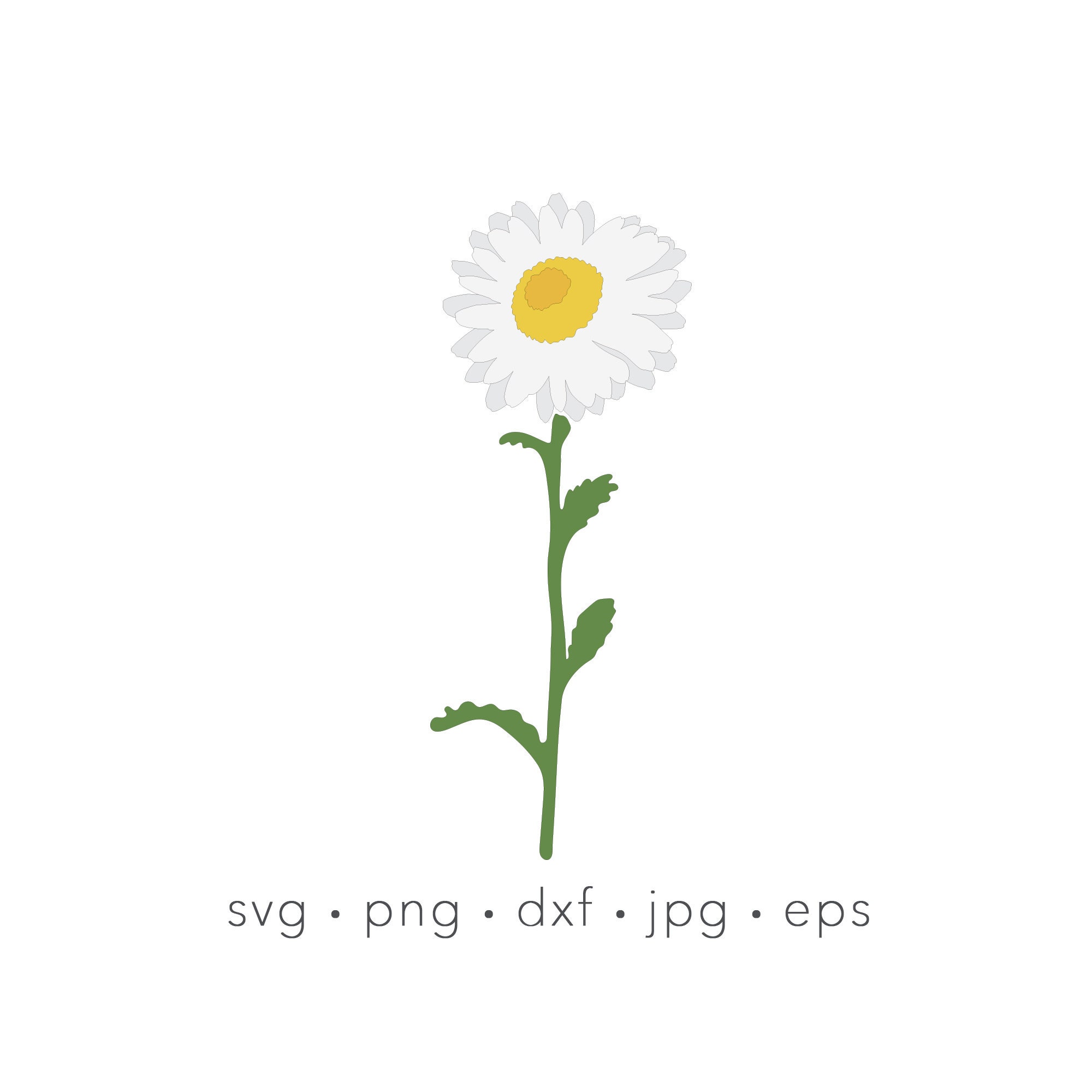 Daisy Svg, Daisy Png, Birth Month Flower Svg, Flower Svg, Floral Svg ...