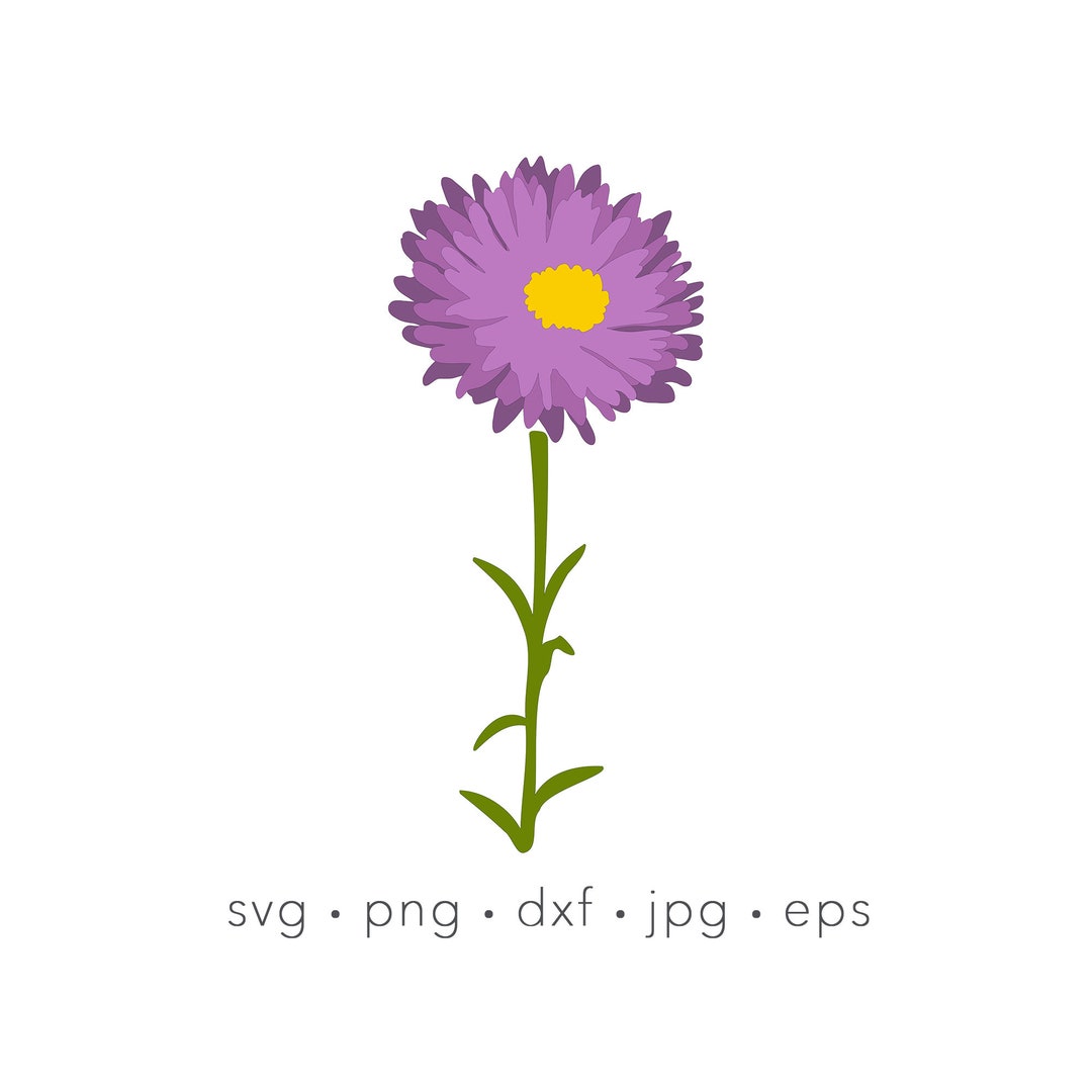 Aster Flower Svg, Aster Svg, September Birth Flower Svg, Birth Month ...