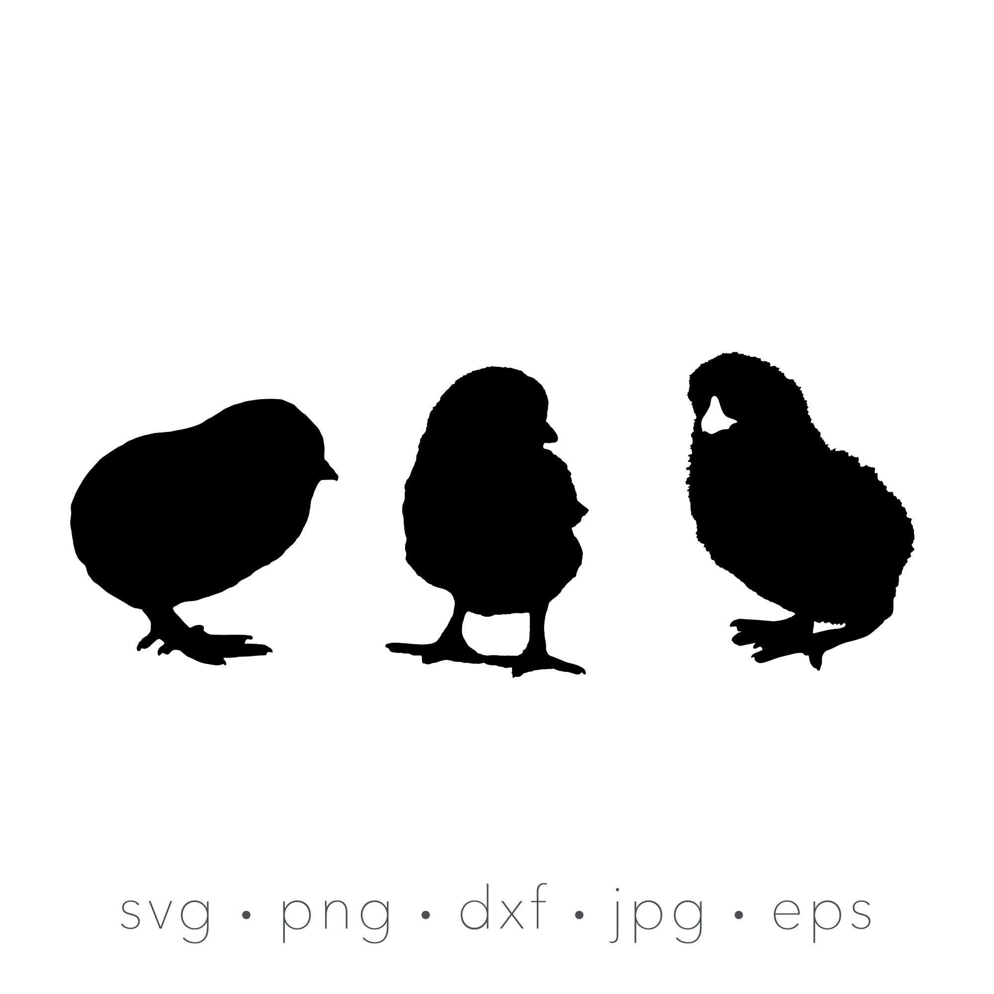 Chicken Svg, Easter Svg, Spring Svg, Farm Svg, Chicks Svg, Cut File for ...
