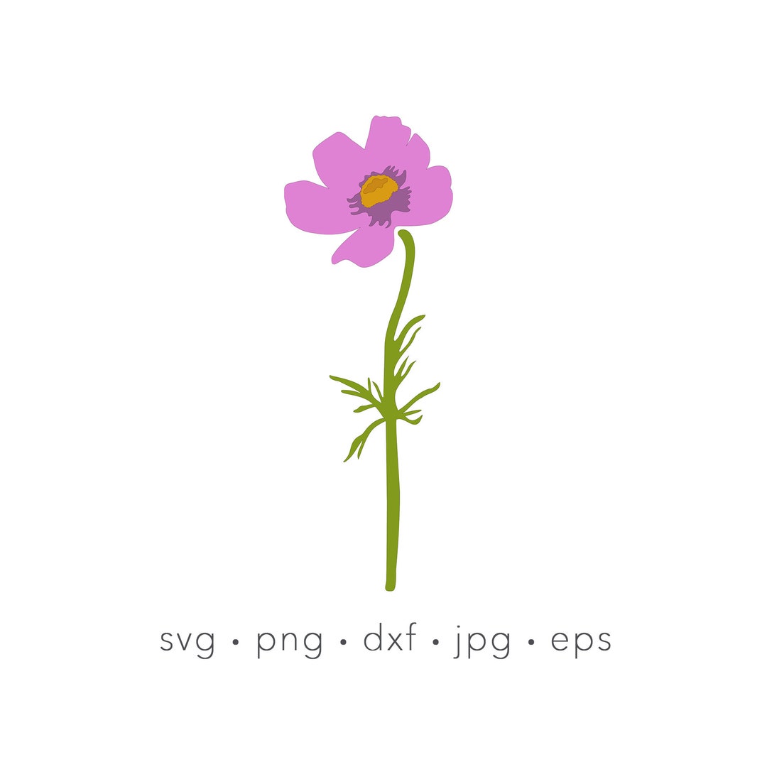 Cosmos Svg, Cosmos Flower Svg, October Birth Month Flower Svg, Layered ...