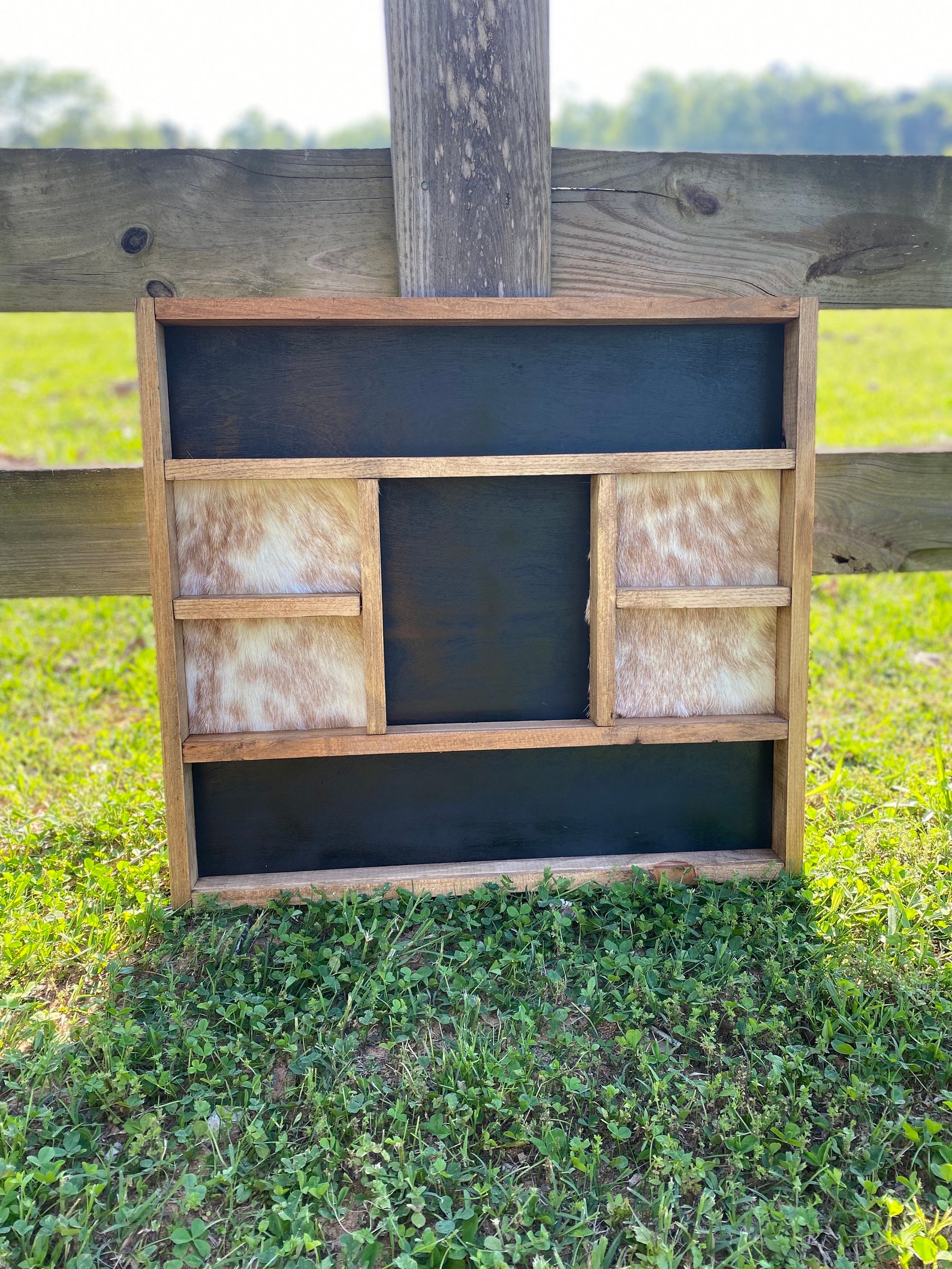 Western Belt Buckle Display Case - Etsy