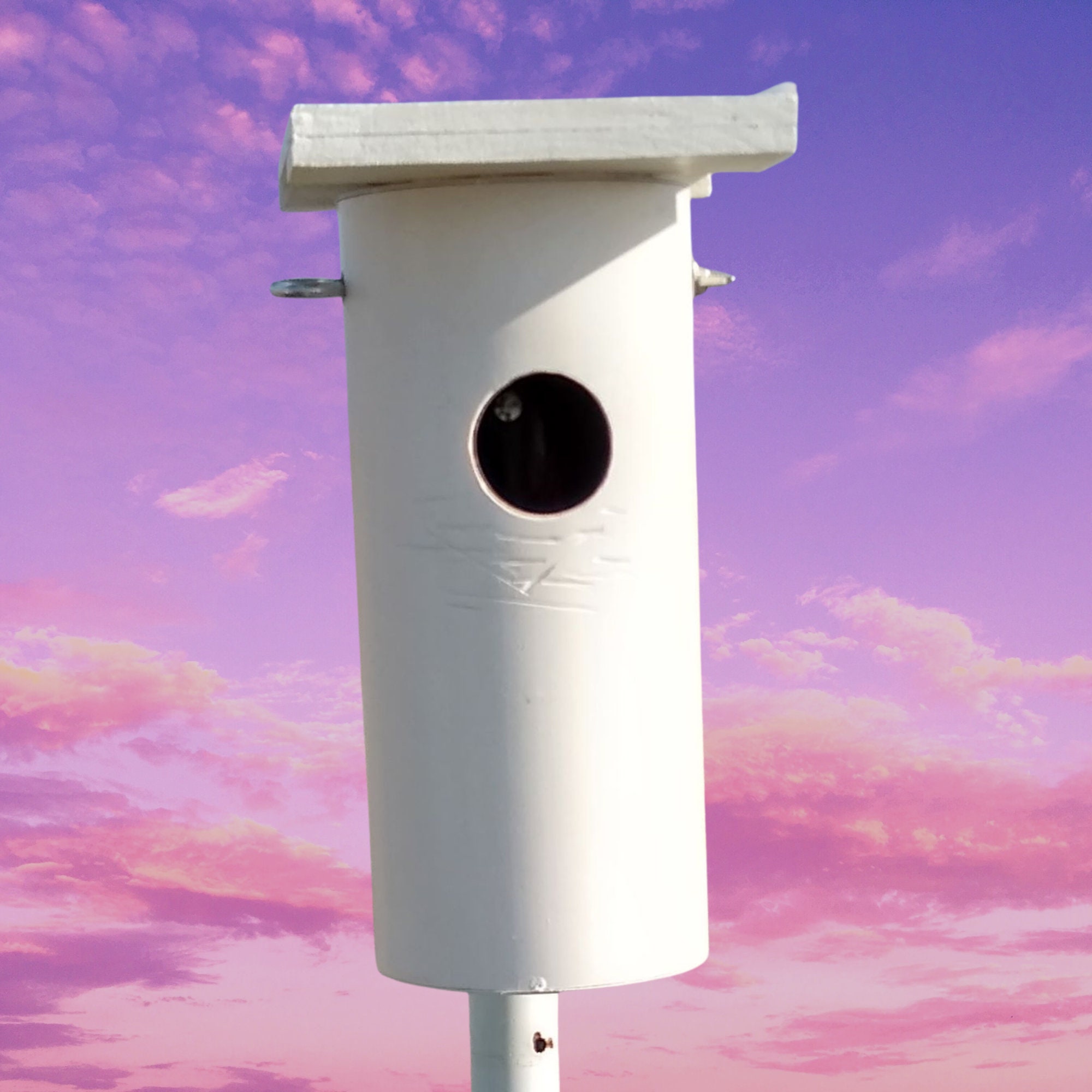 Bluebird Bird House, WHITE, Lasts a Lifetime, PVC, Handmade ...