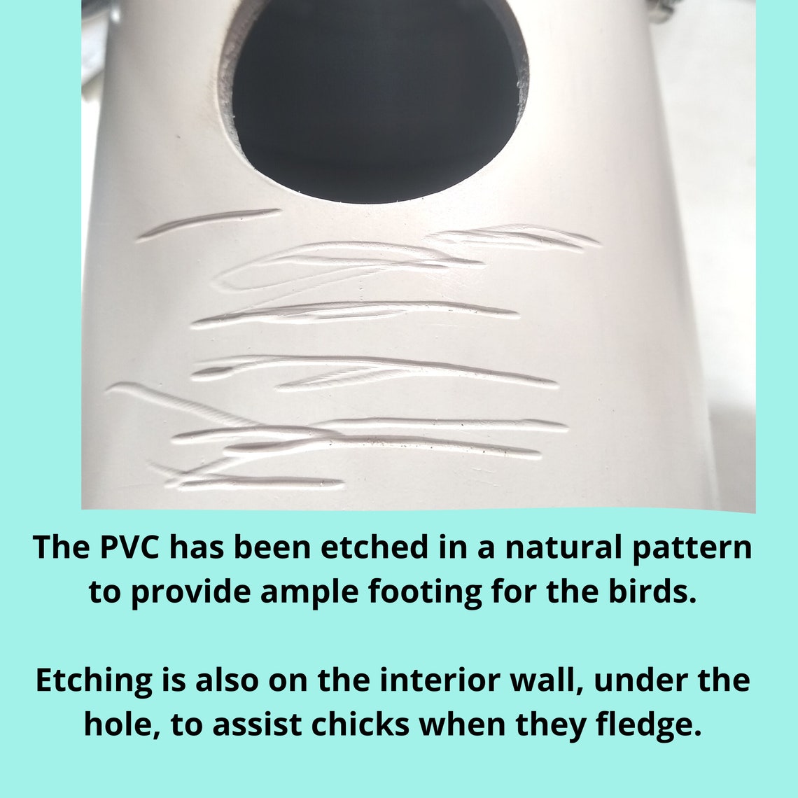 Bluebird Bird House, WHITE, Lasts a Lifetime, PVC, Handmade ...