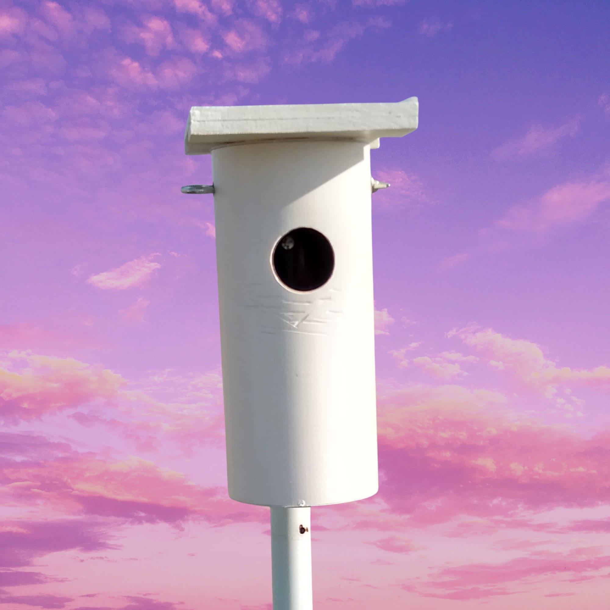 Bluebird Bird House, WHITE, Lasts a Lifetime, PVC, Handmade ...