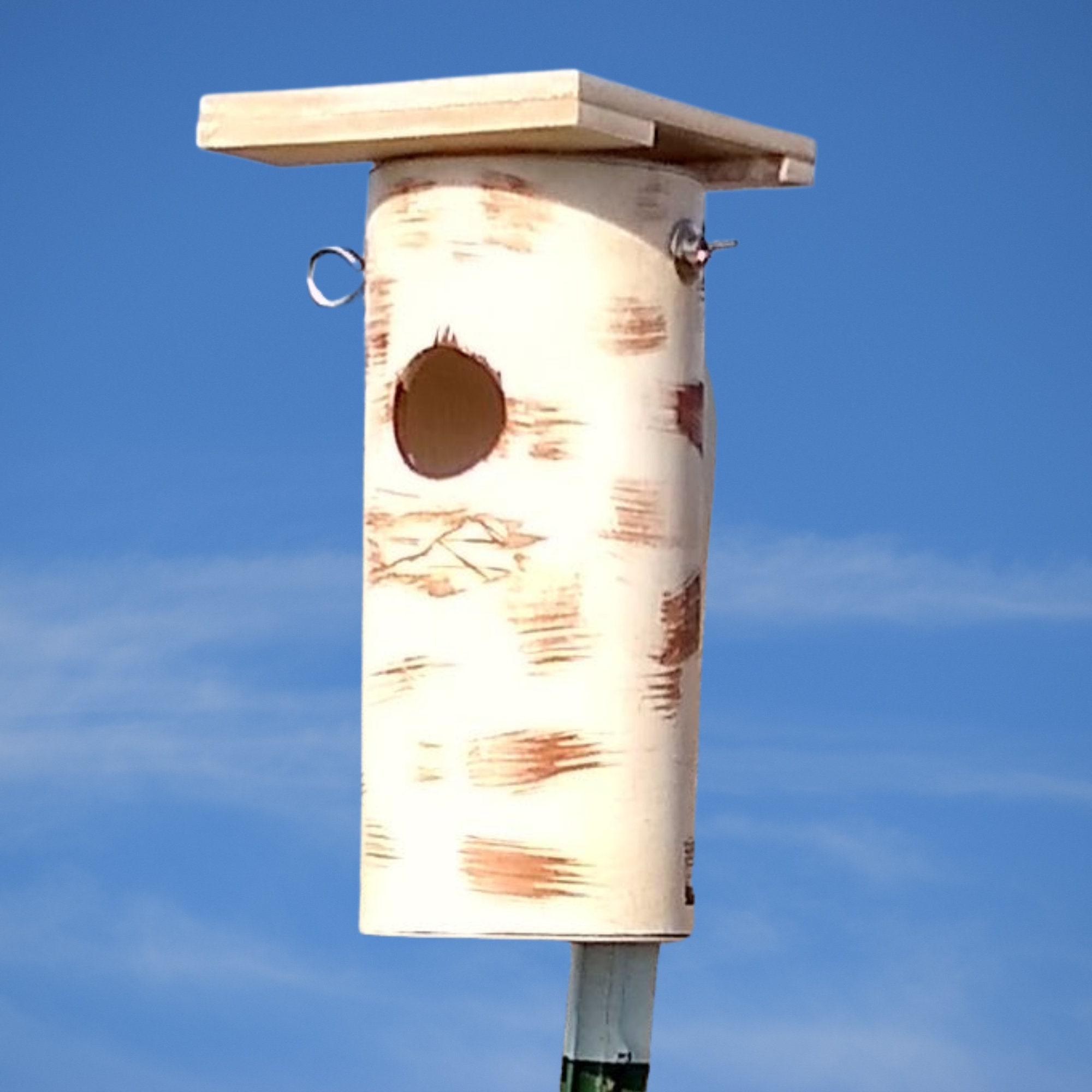 Bluebird Bird House, Wood-look HAND PAINTED, Lasts a Lifetime, PVC ...