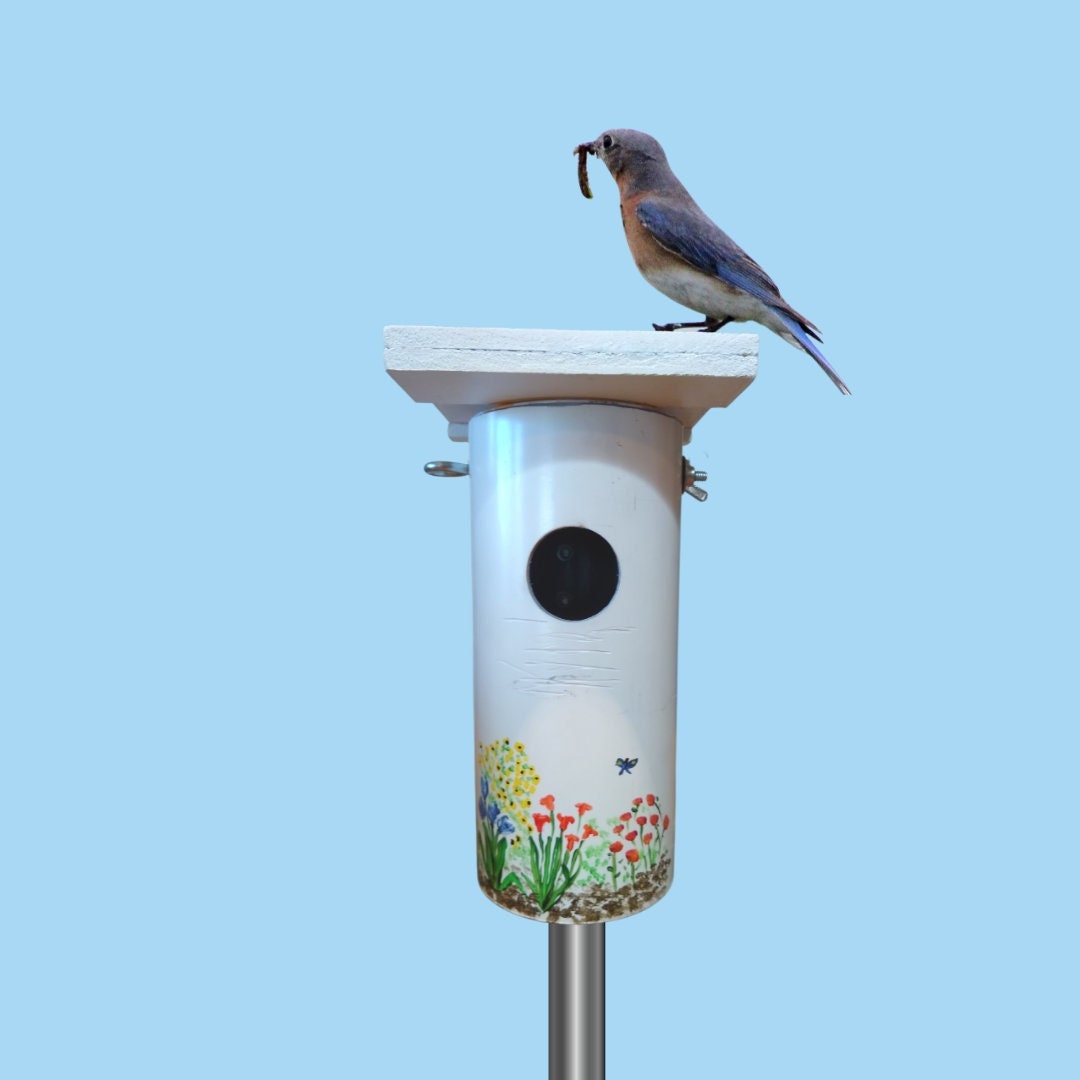 Bluebird Bird House, Floral HAND PAINTED, Lasts a Lifetime, PVC ...