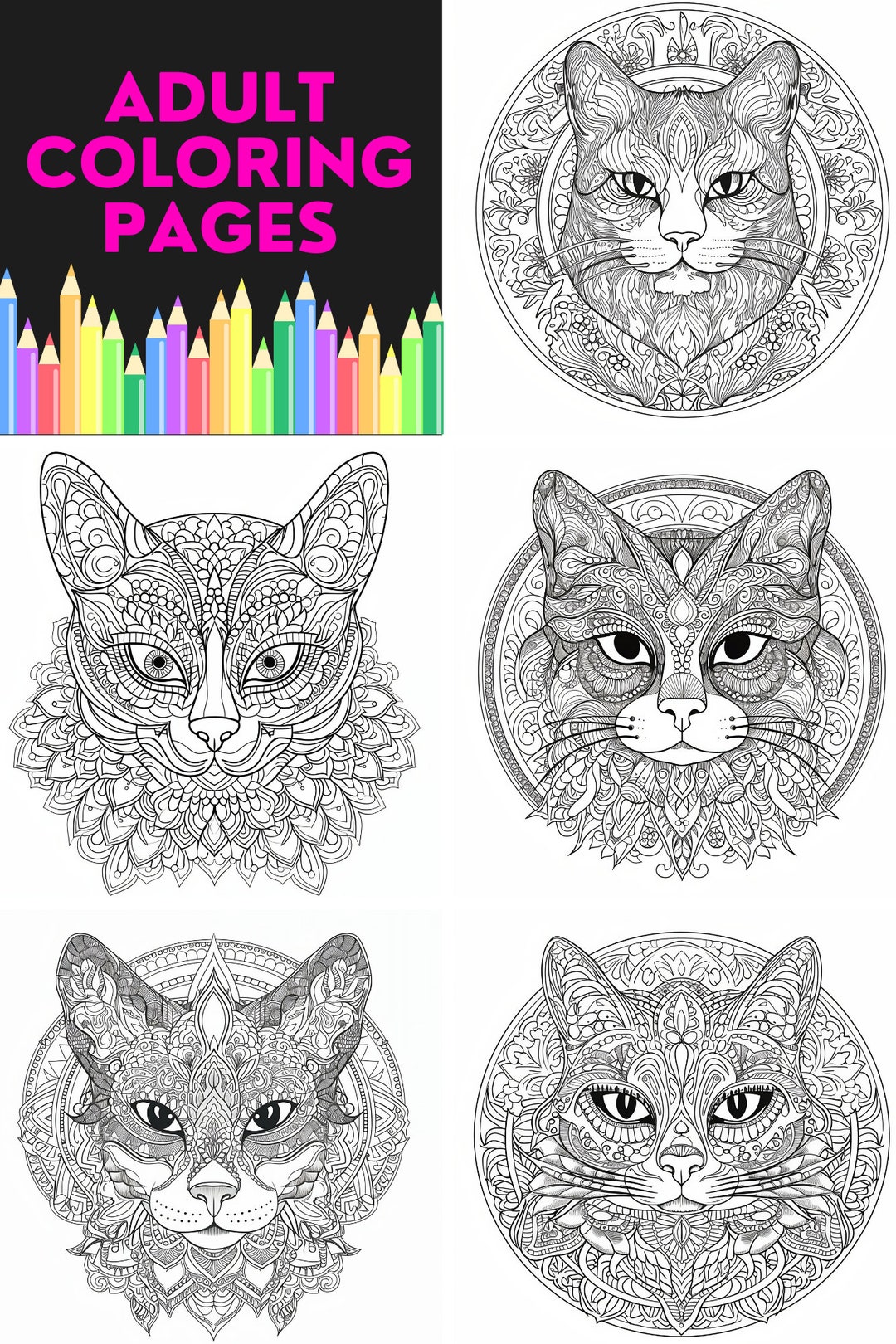 5 Adult Coloring Pages Cat Premium Coloring Page Pack - Etsy