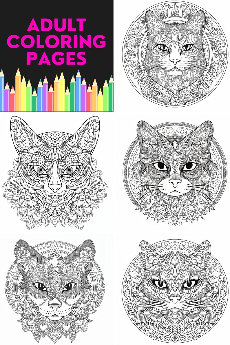 5 Adult Coloring Pages Cat Premium Coloring Page Pack - Etsy