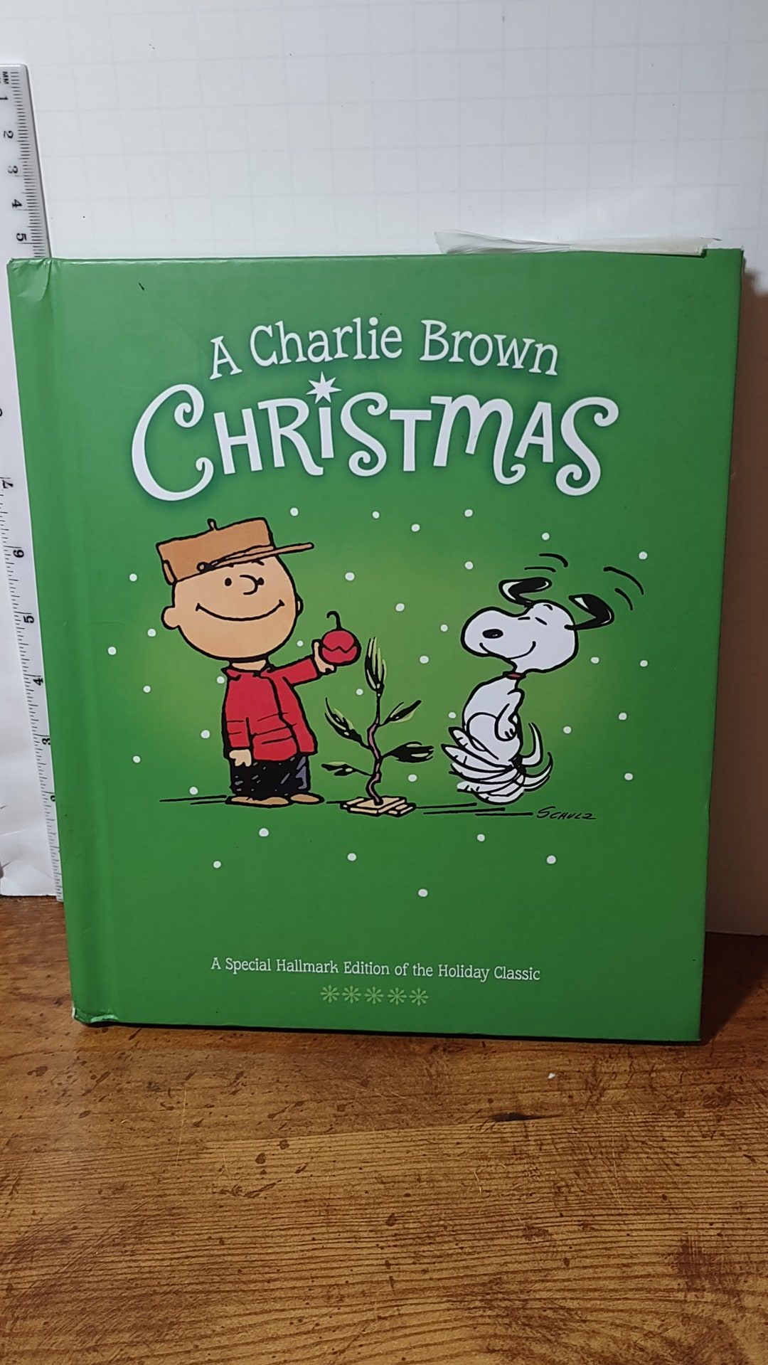 Hallmark Peanuts A Charlie Brown Recordable Story Book - Etsy