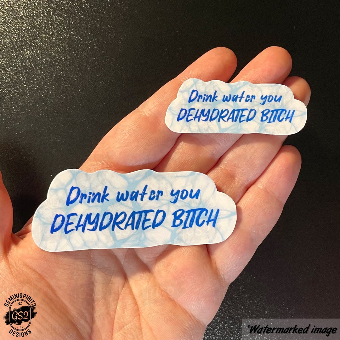 Drink Water You DEHYDRATED BITCH Sticker - Glossy Waterproof Vinyl ...