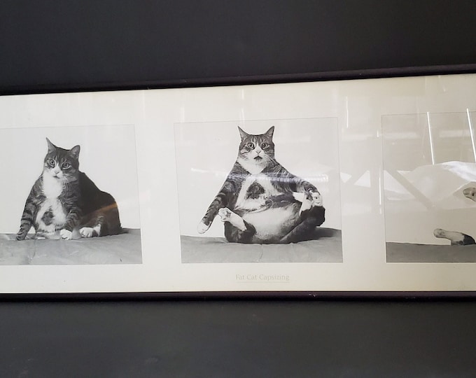 Fat Cat Capsizing Vintage Framed Print. Richard Weatherwax Print. - Etsy