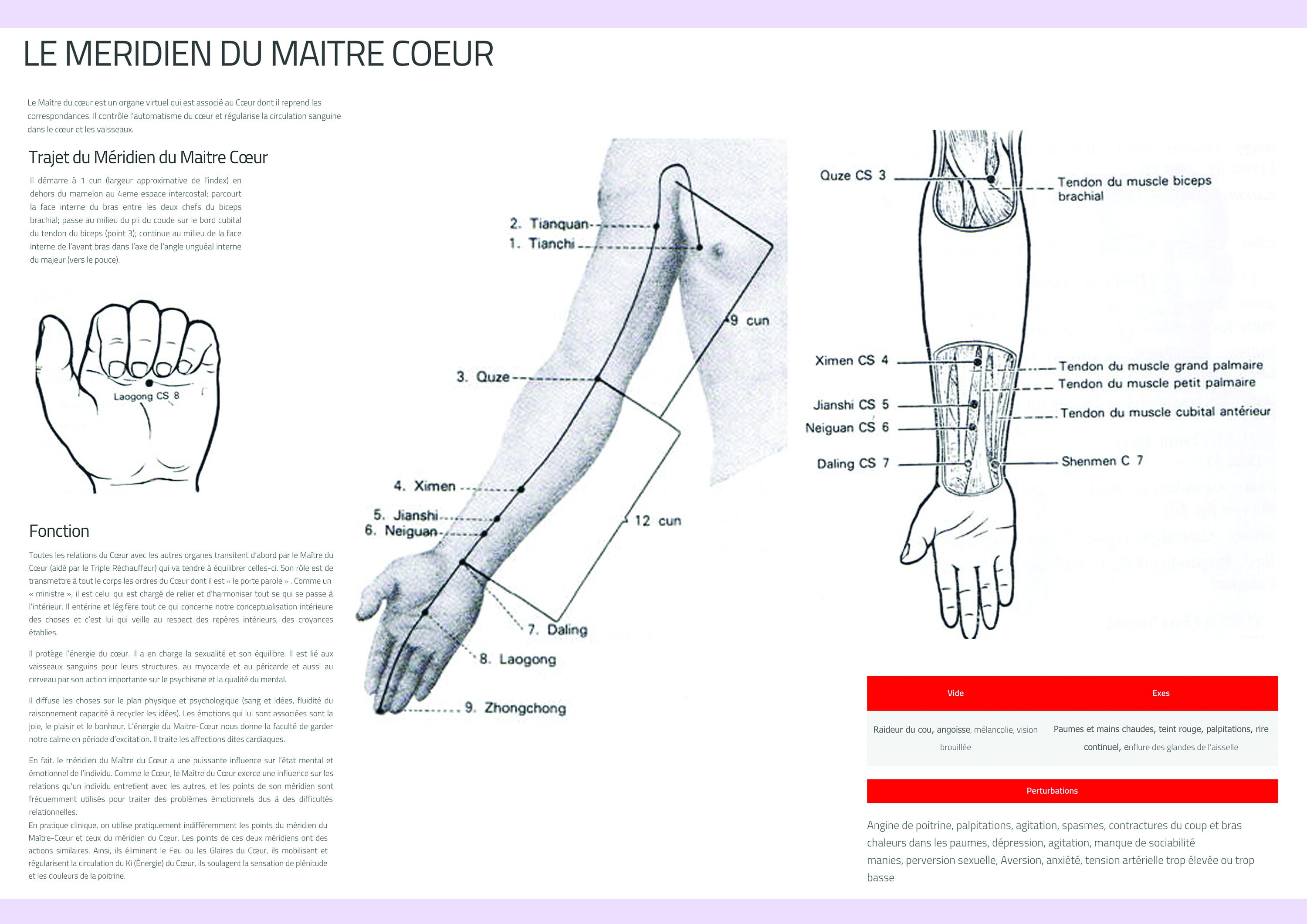 14 Acupuncture Meridian Review Sheets in French to Print in A3 Jpg ...
