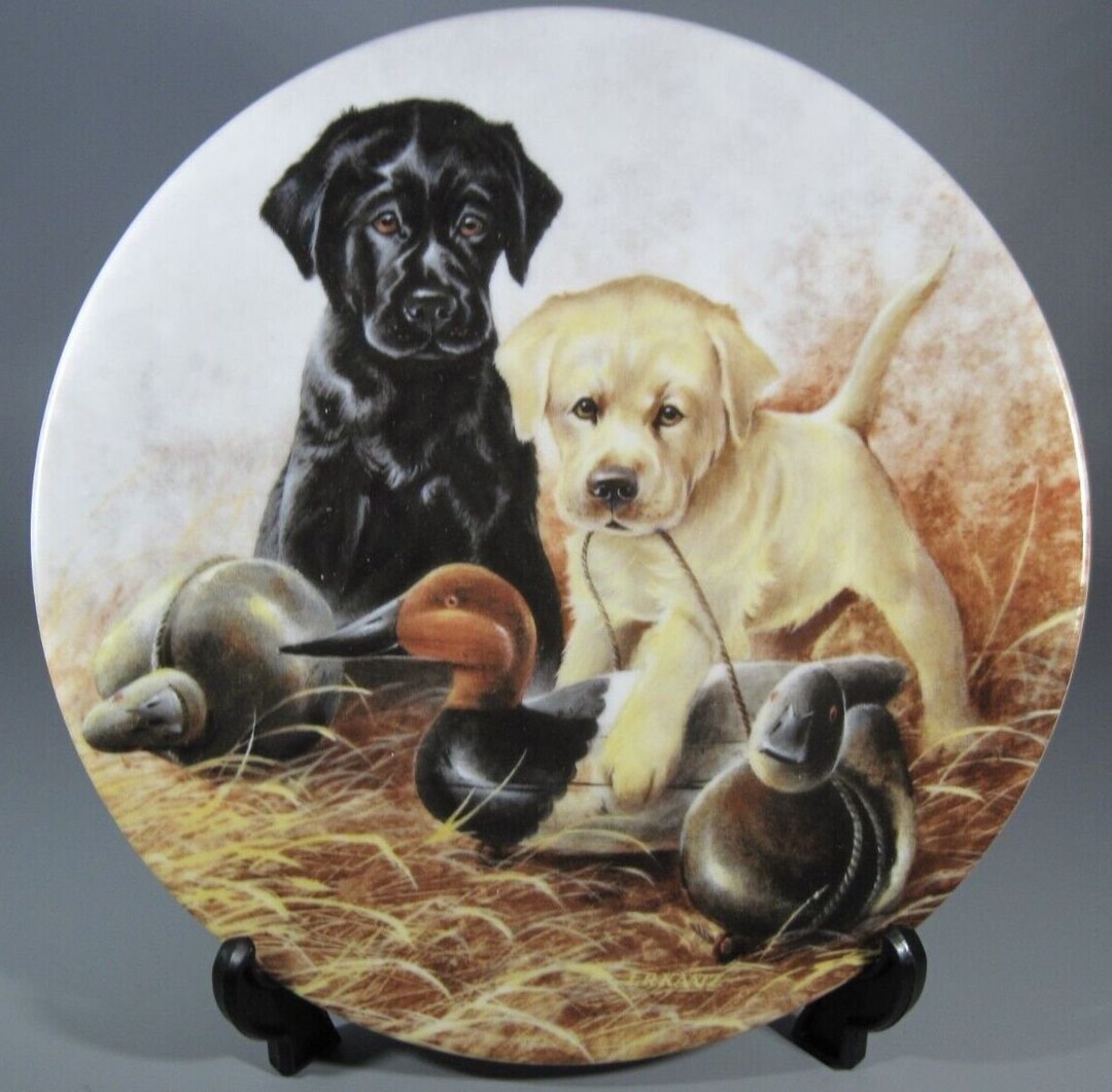 1988 Knowles Collector Plates A Perfect Set-labrador Retrievers by Lynn ...