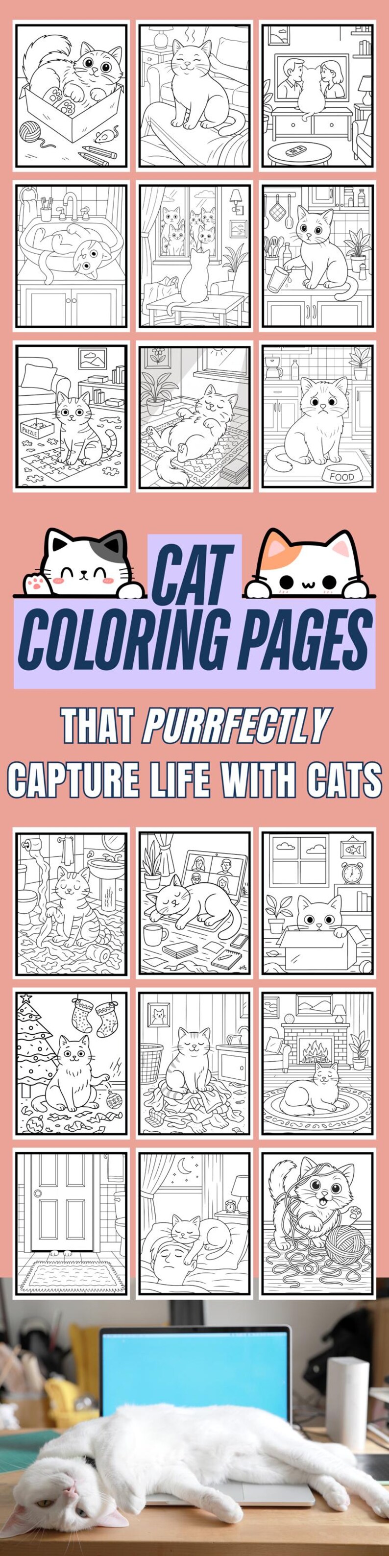 Funny Cats Coloring Pages Printable Cat Coloring Book for All Ages Gift ...