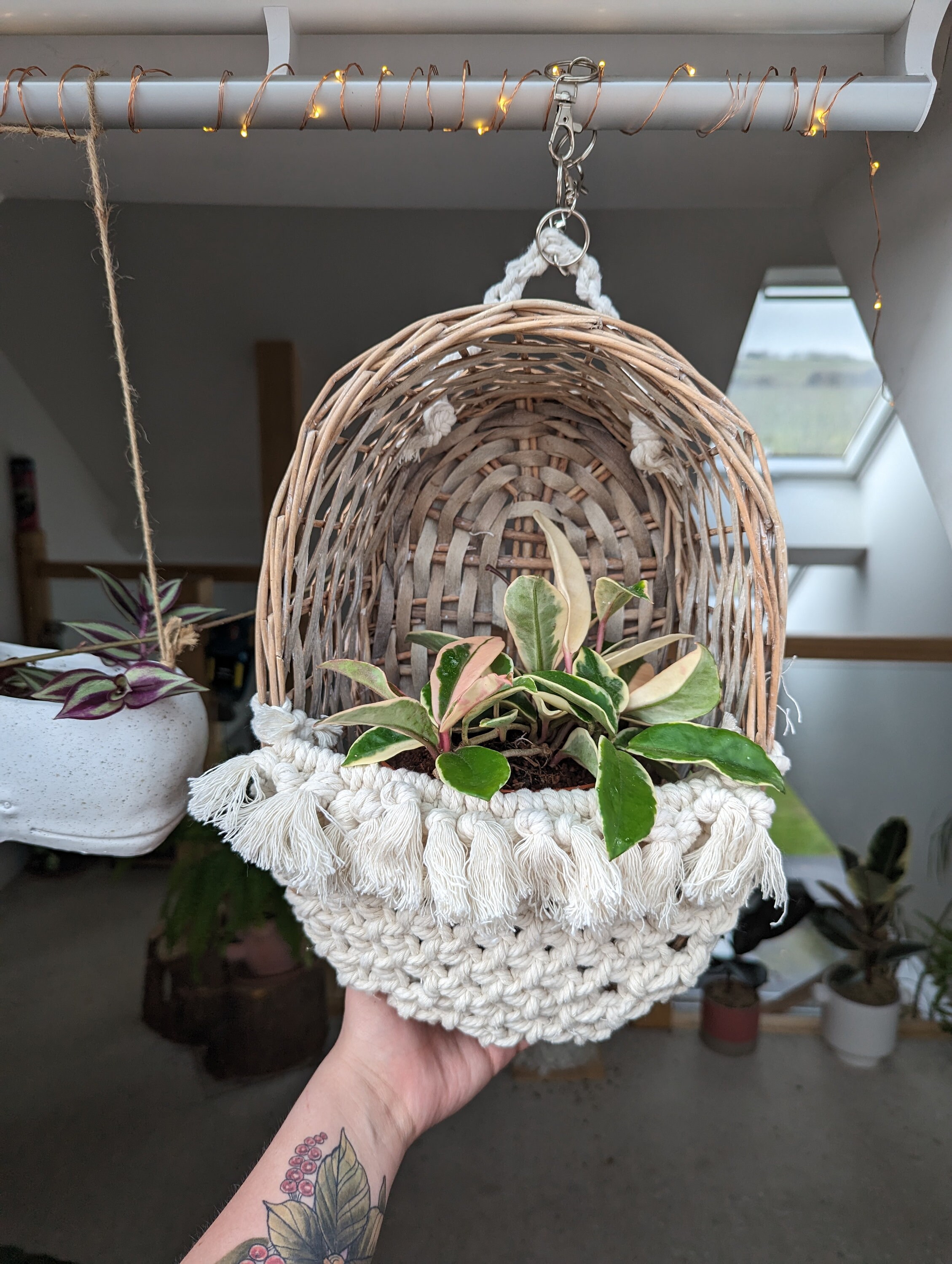 Plant Basket, Boho Wall Hanging Plant Display - Etsy