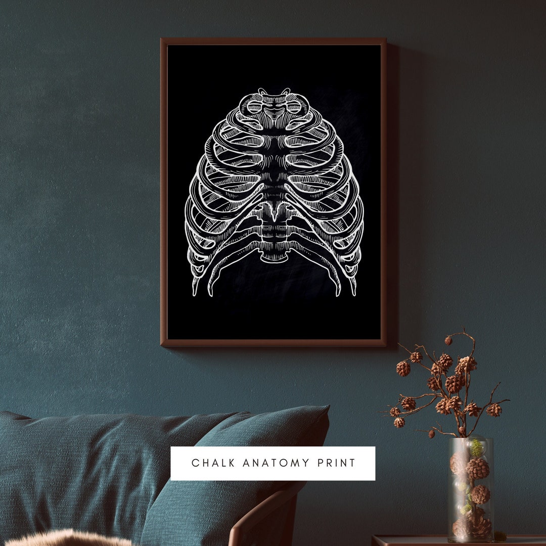 Human Anatomy Artworks | Medical Wall Pictures | Muscle Skeleton ...
