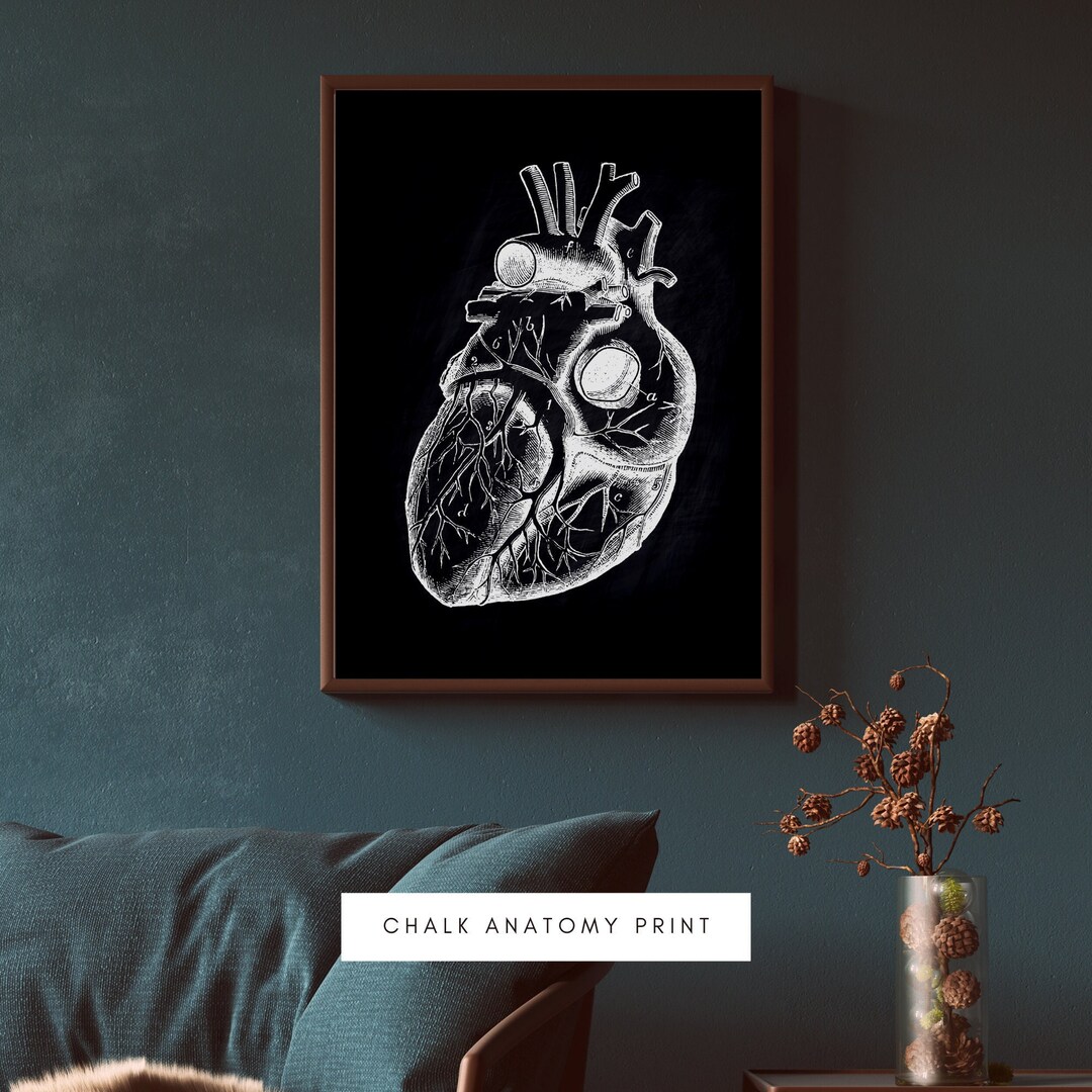 Human Anatomy Artworks | Medical Wall Pictures | Muscle Skeleton ...